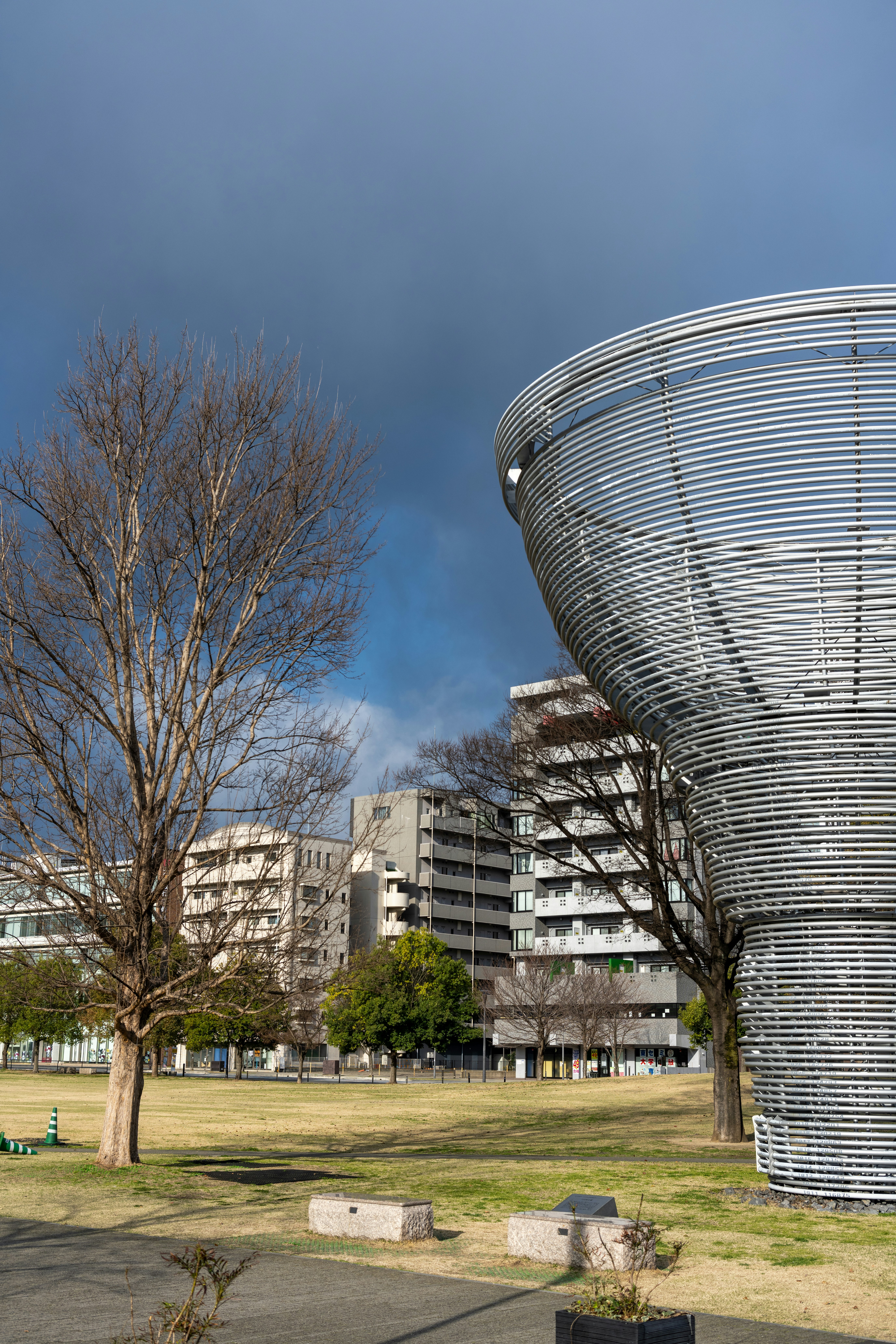 Spiral Tower Cradled by Bare Trees in an Urban Park