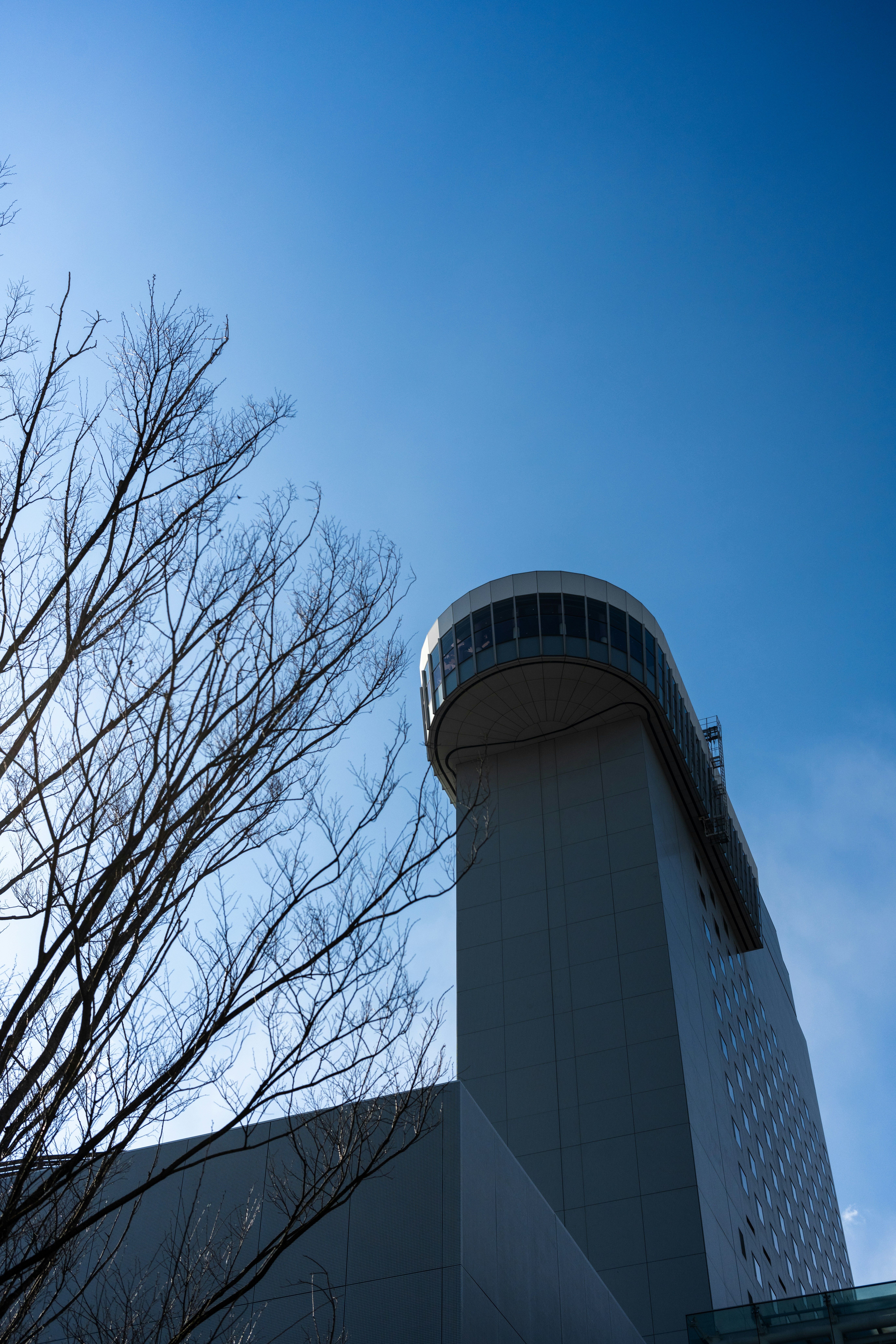 Photo by Kouji Tsuru with Nikon Z7 II