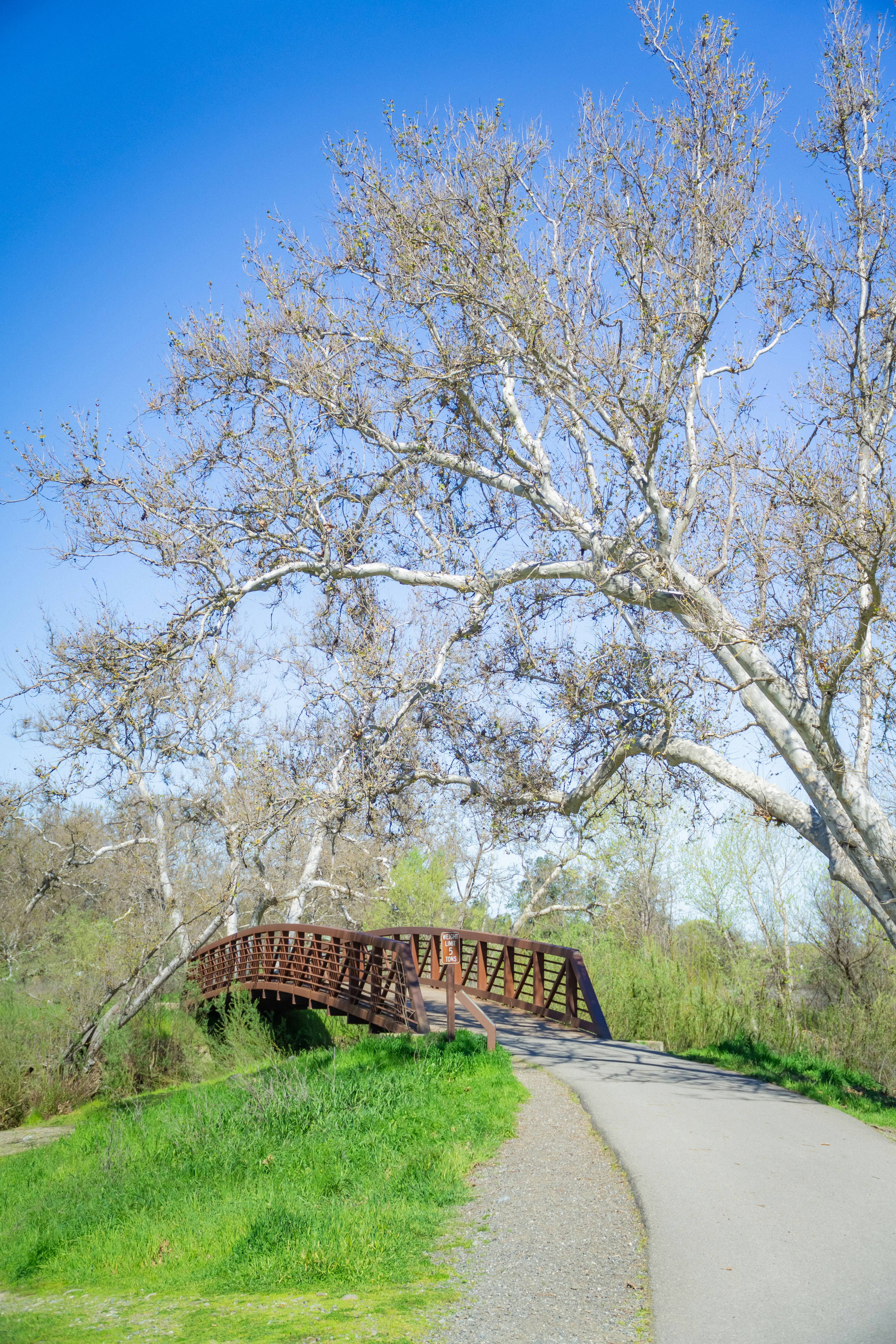 Photo by Spencer DeMera with Sony Alpha 6000