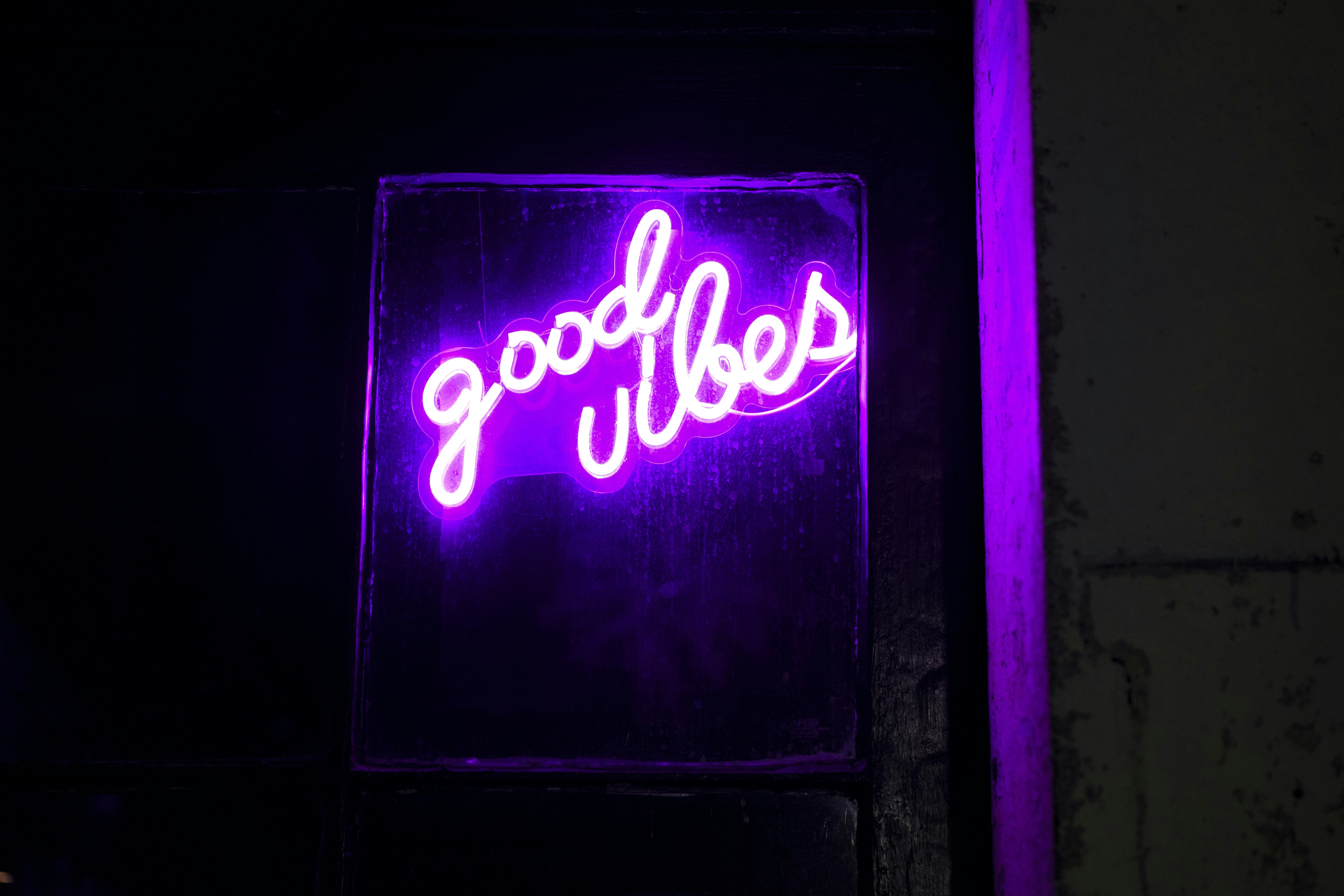 A purple neon sign that says goofles on it photo – Free City Image on ...