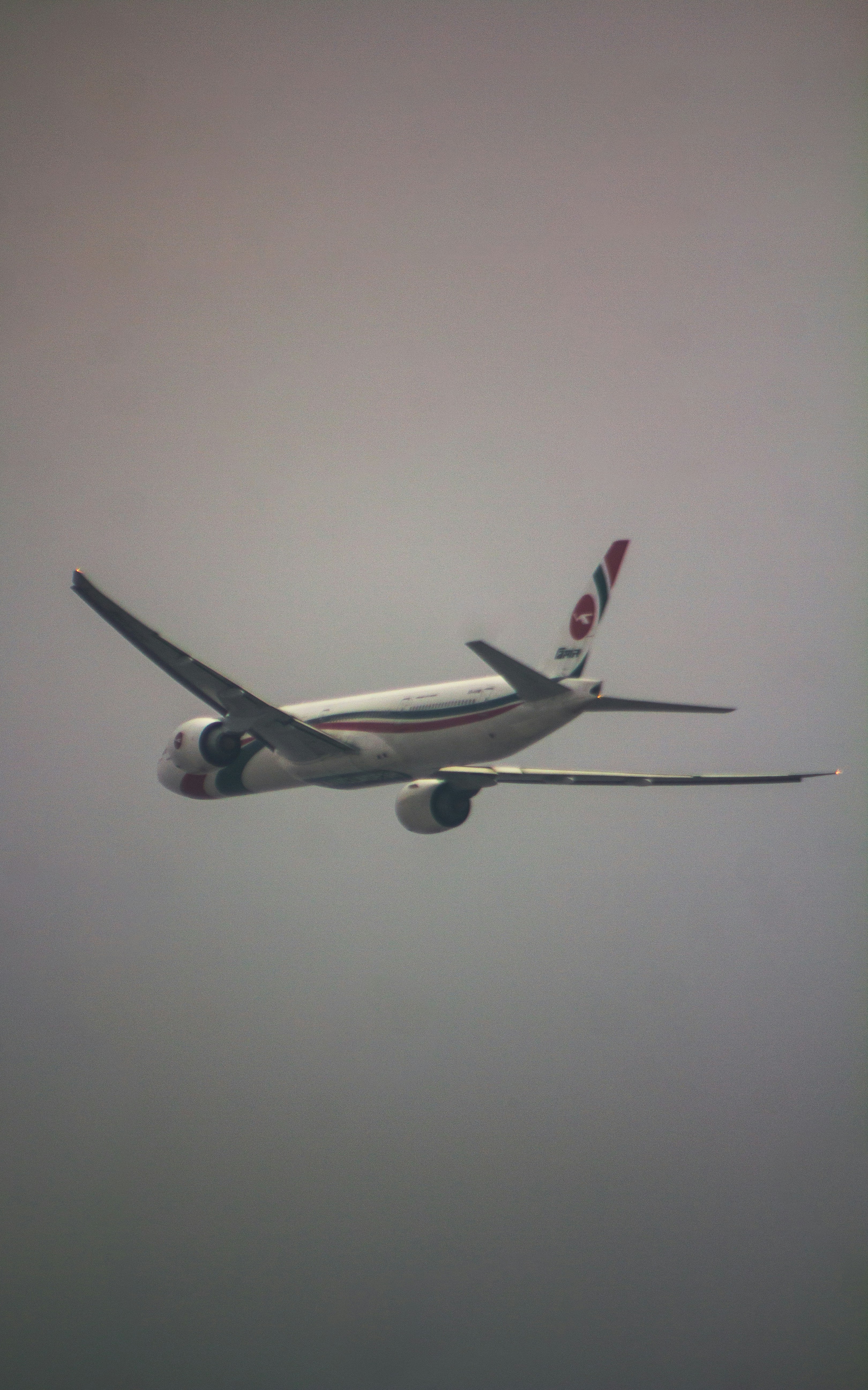 Jet in the Gray Veil: A white airliner with red tail carving through a muted sky