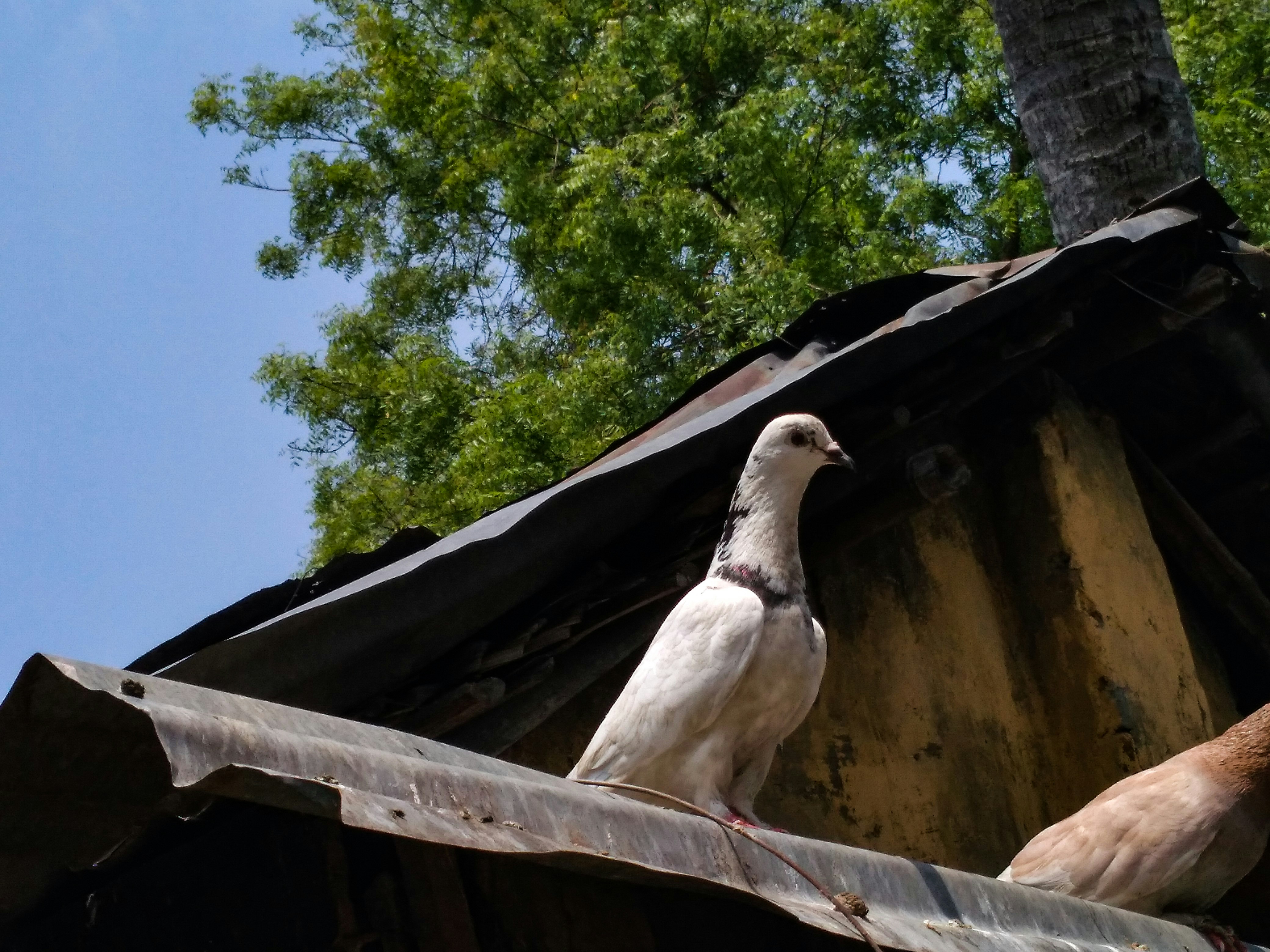 Photo by Wadud Emon with Xiaomi Redmi 4A