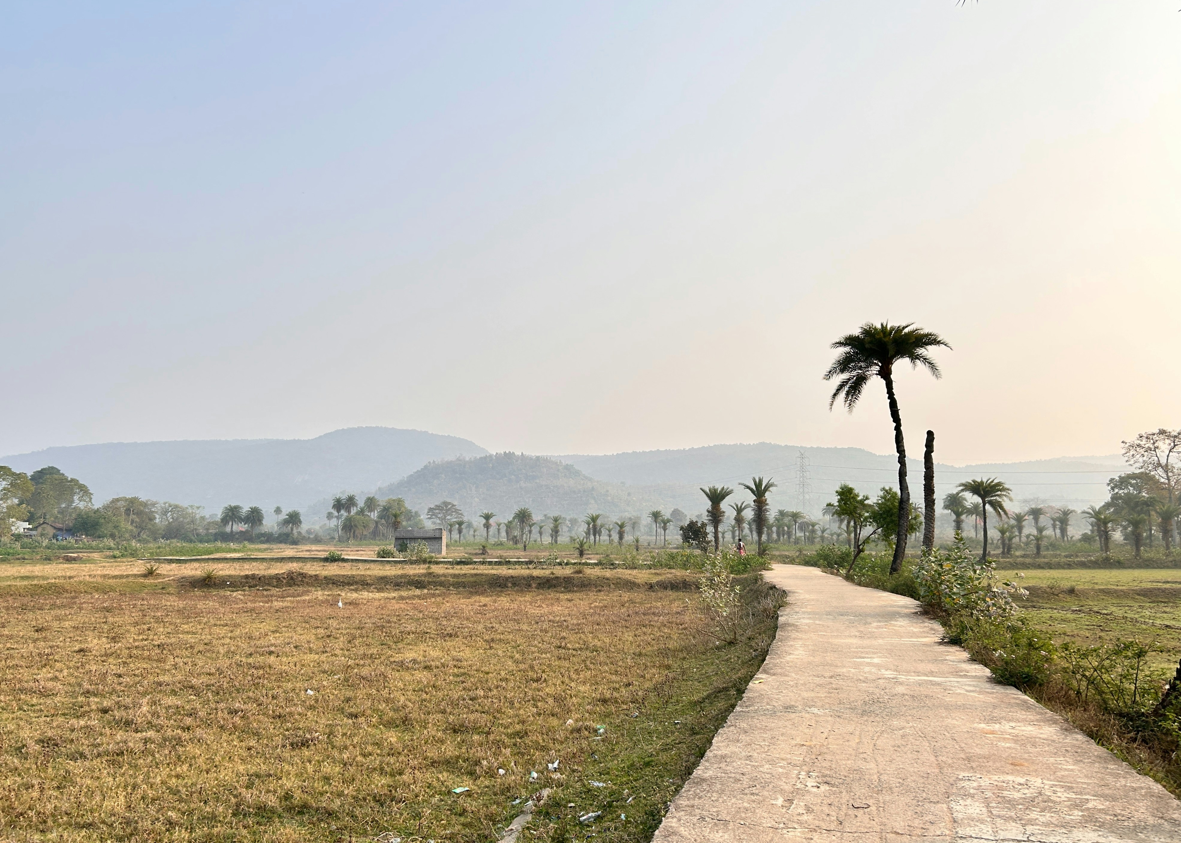 Pathway to Serenity: A Journey Through Nature's Canvas