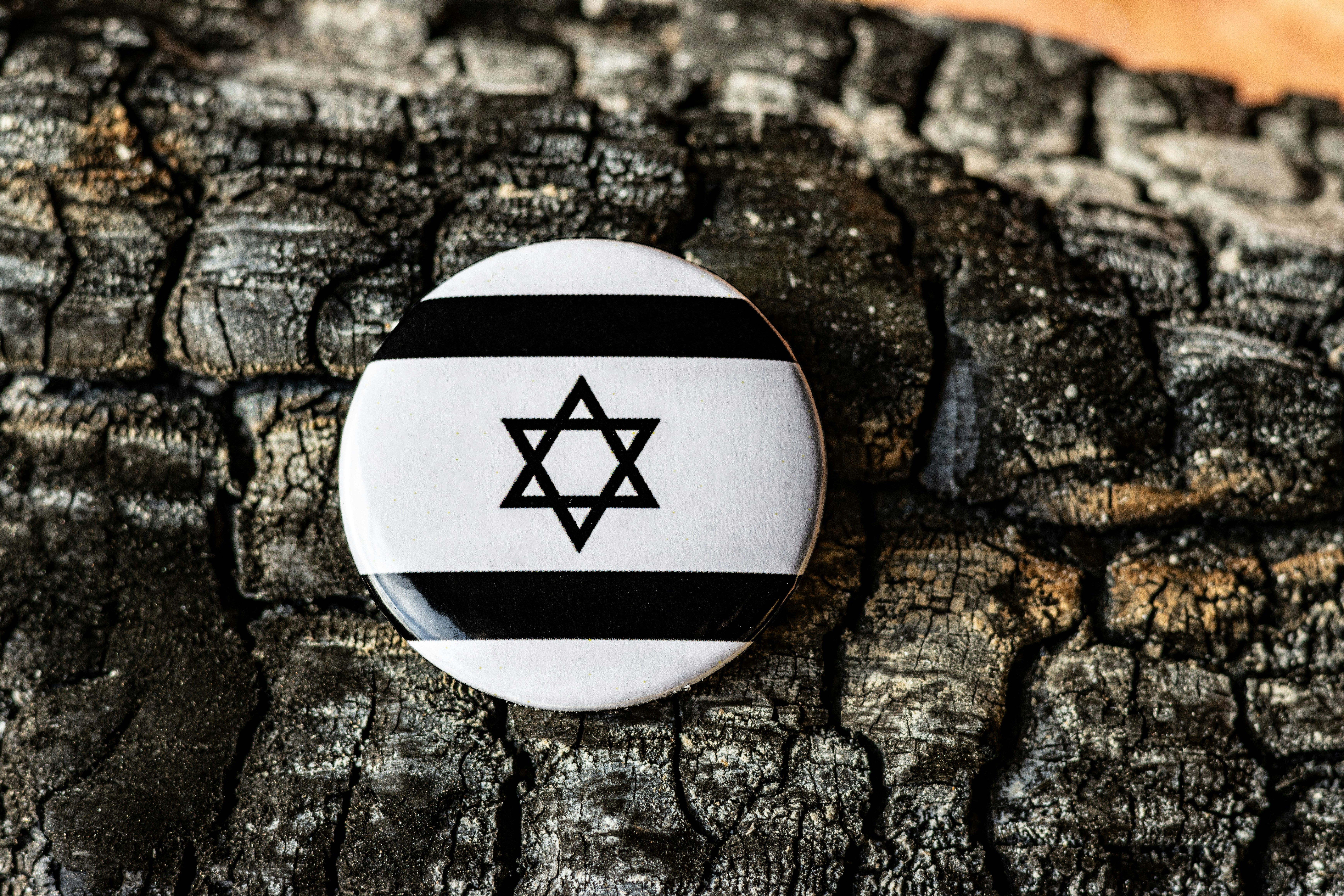 Star of David Pin Resting on Bark: A Close-Up of Symbolic Contrast
