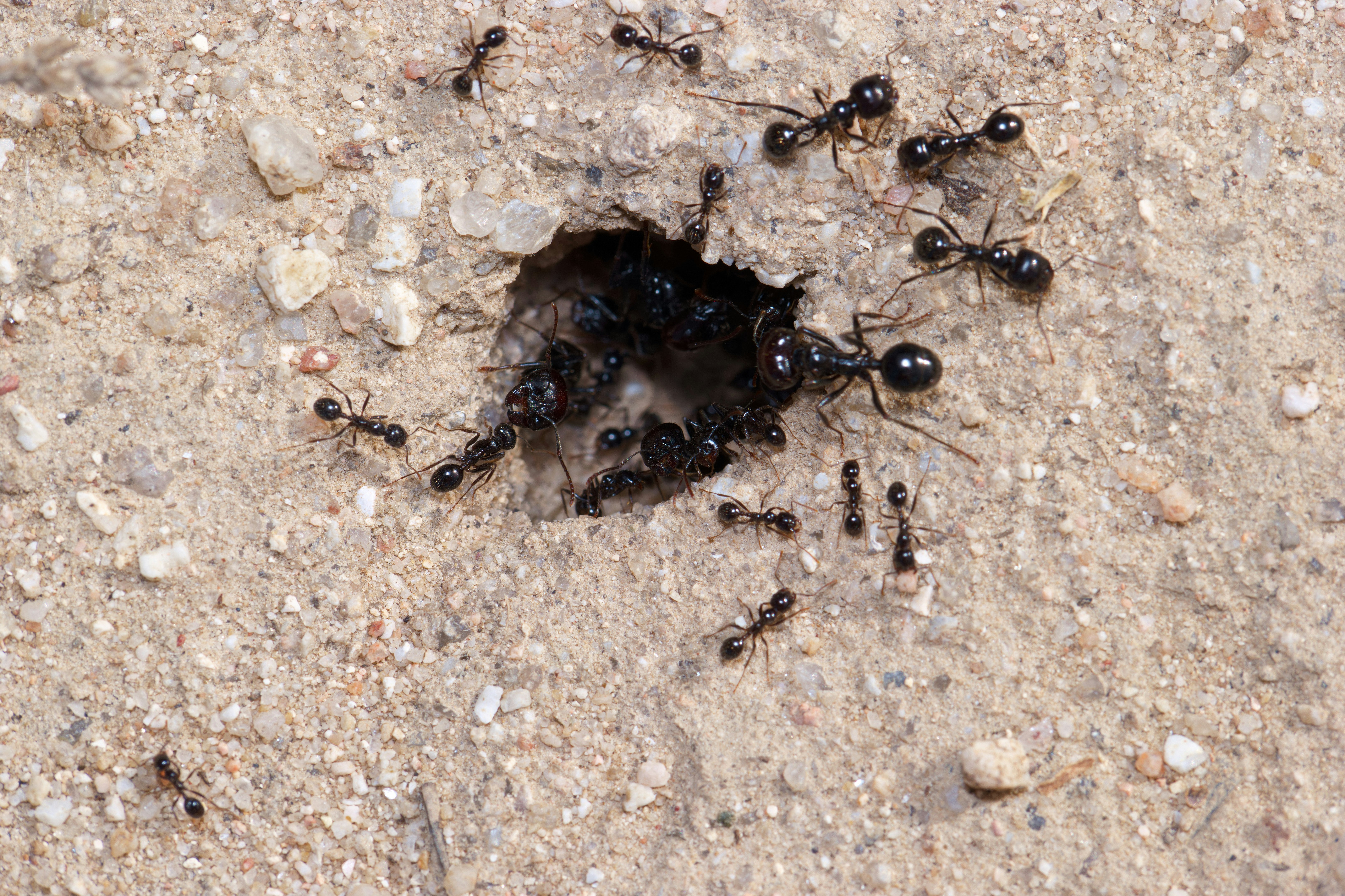 Photo by piotr sawejko with Samsung NX1