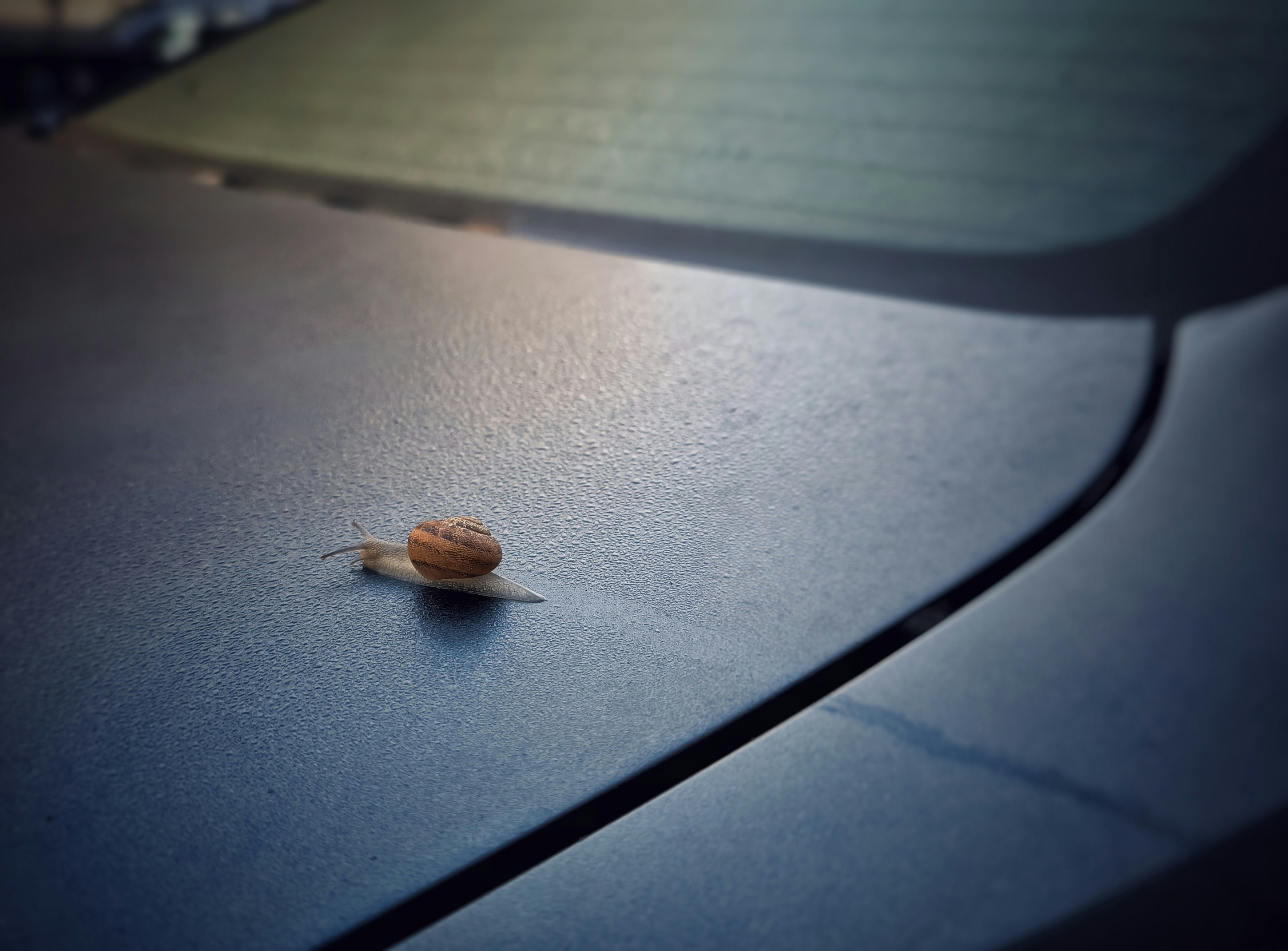 Más resultados - Galician Investor Quality Research