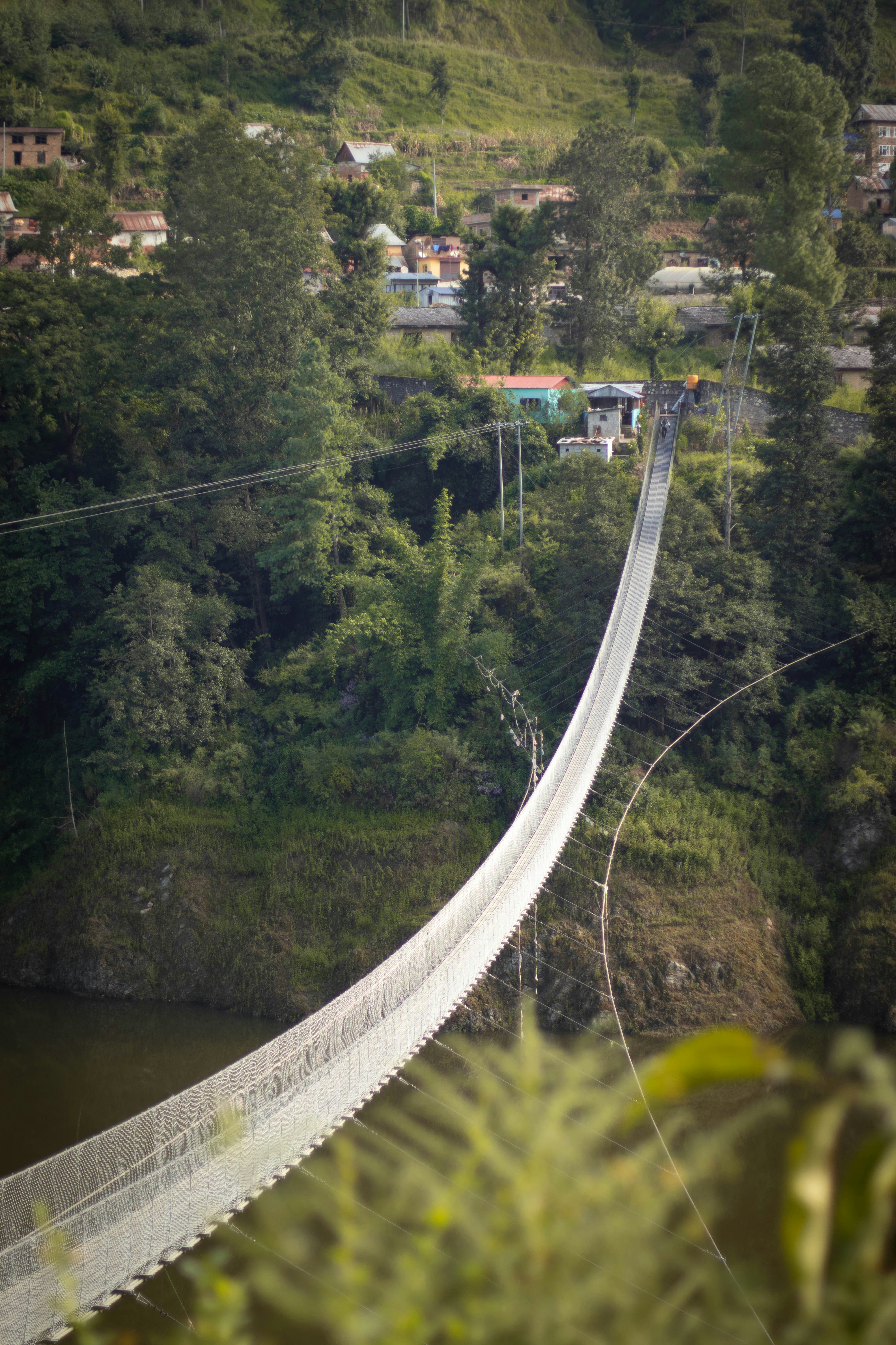 Suspension Bridge Courier: A Narrow Arc Crossing a Verdant Gorge
