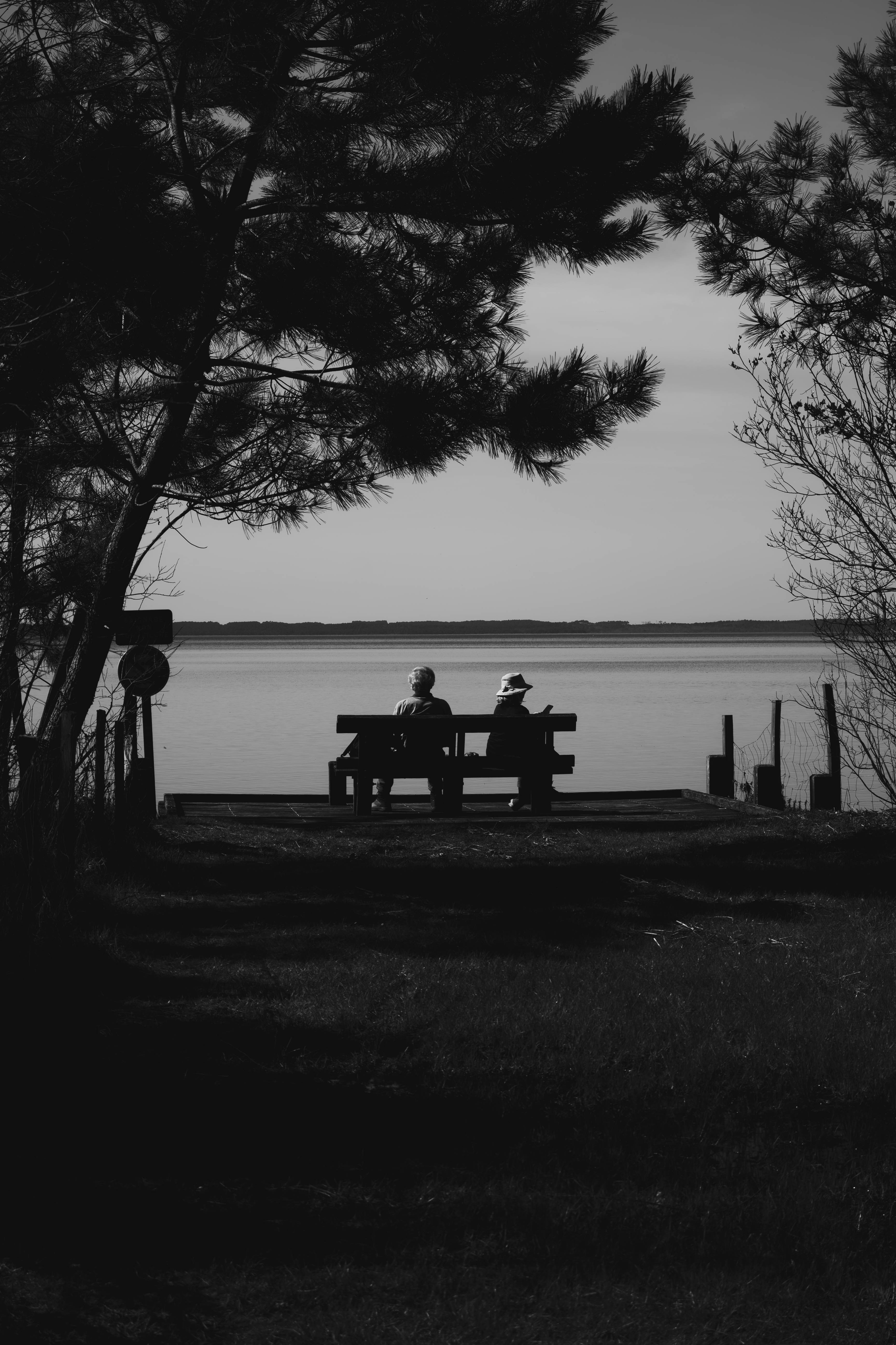 Photo by Alexis CMS with Nikon Z30