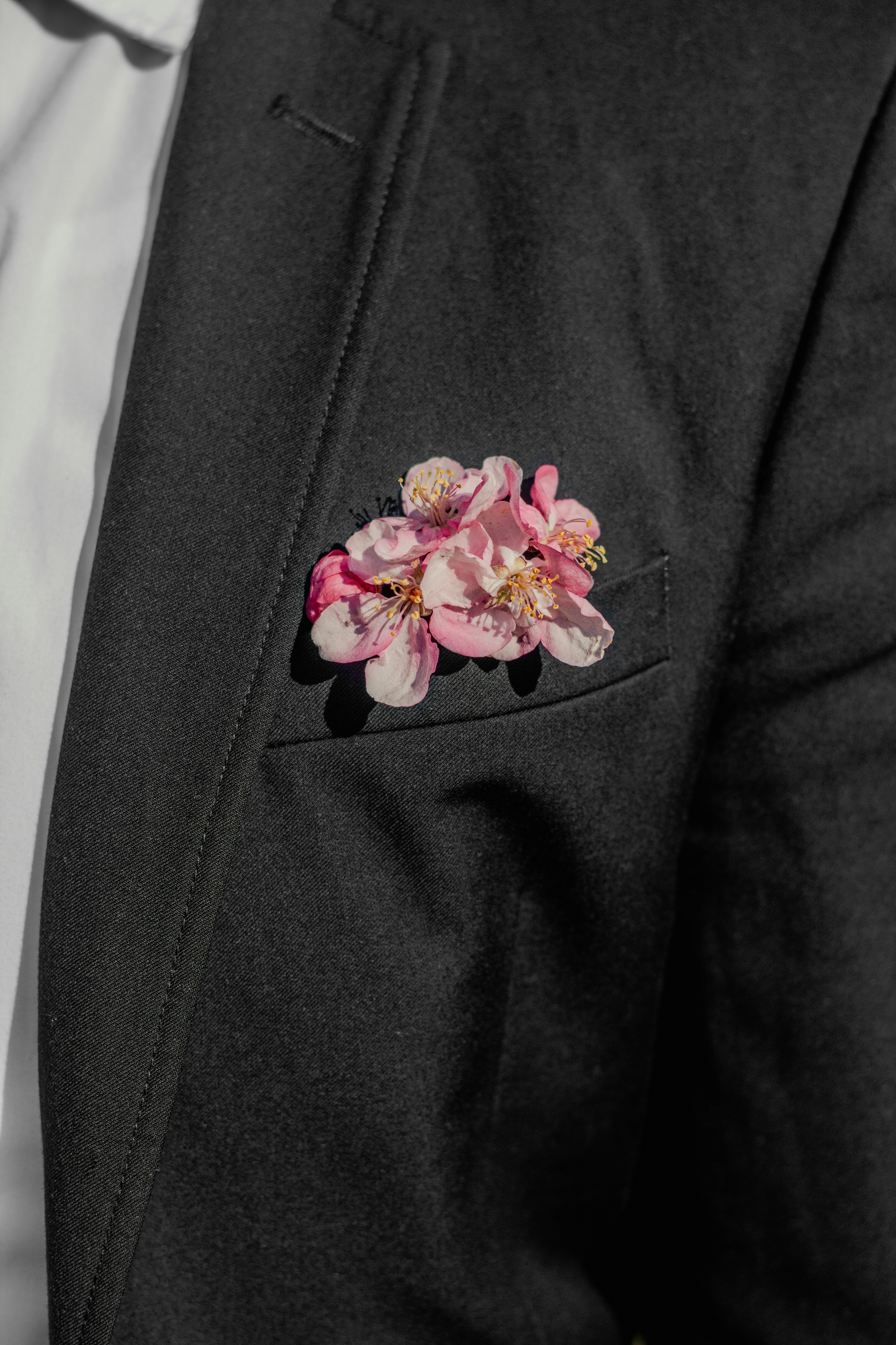 Petals on a Black Lapel: A Pink Boutonniere in Focus