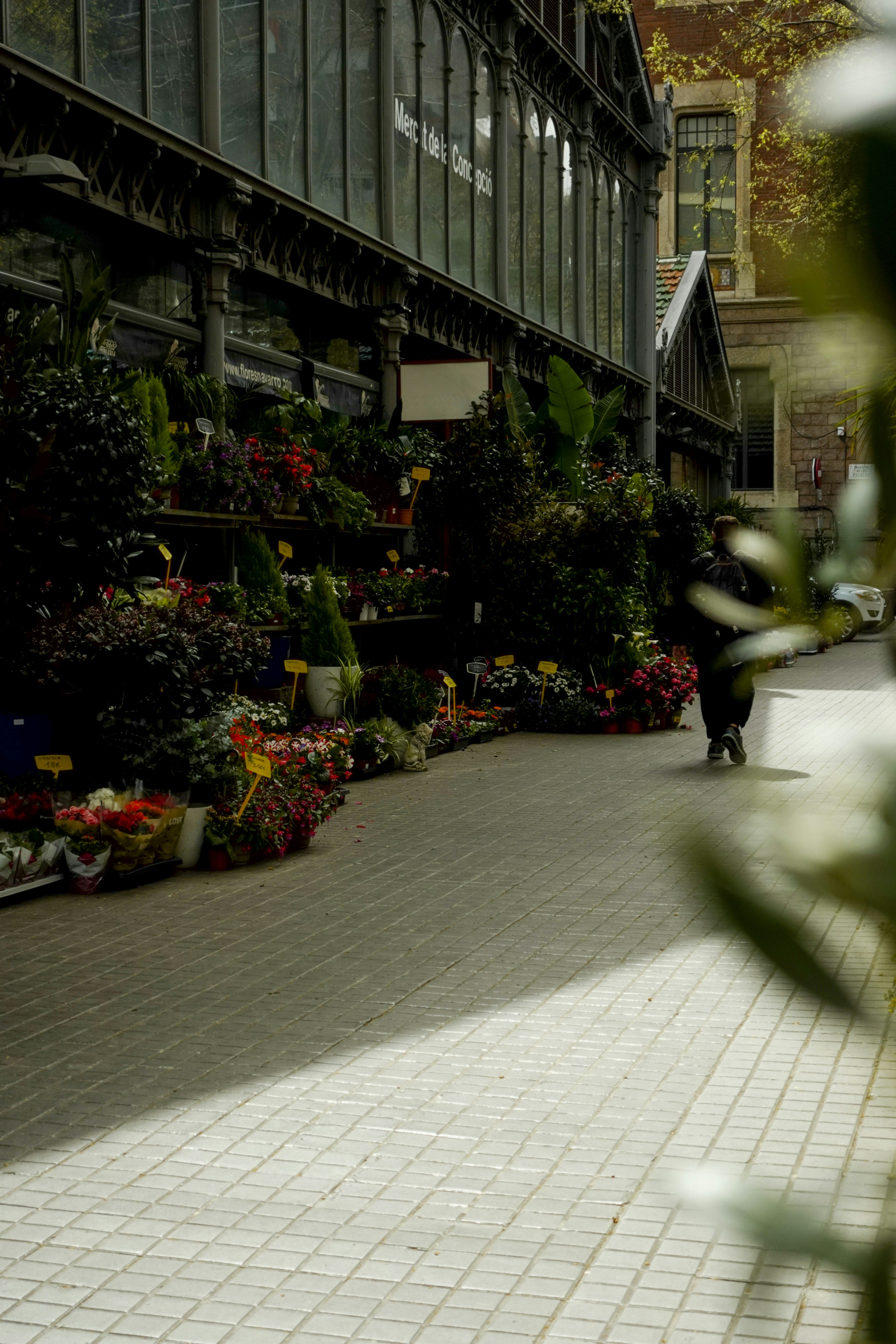 Sunlit Florist Lane: a solitary passerby among blooms by the storefront