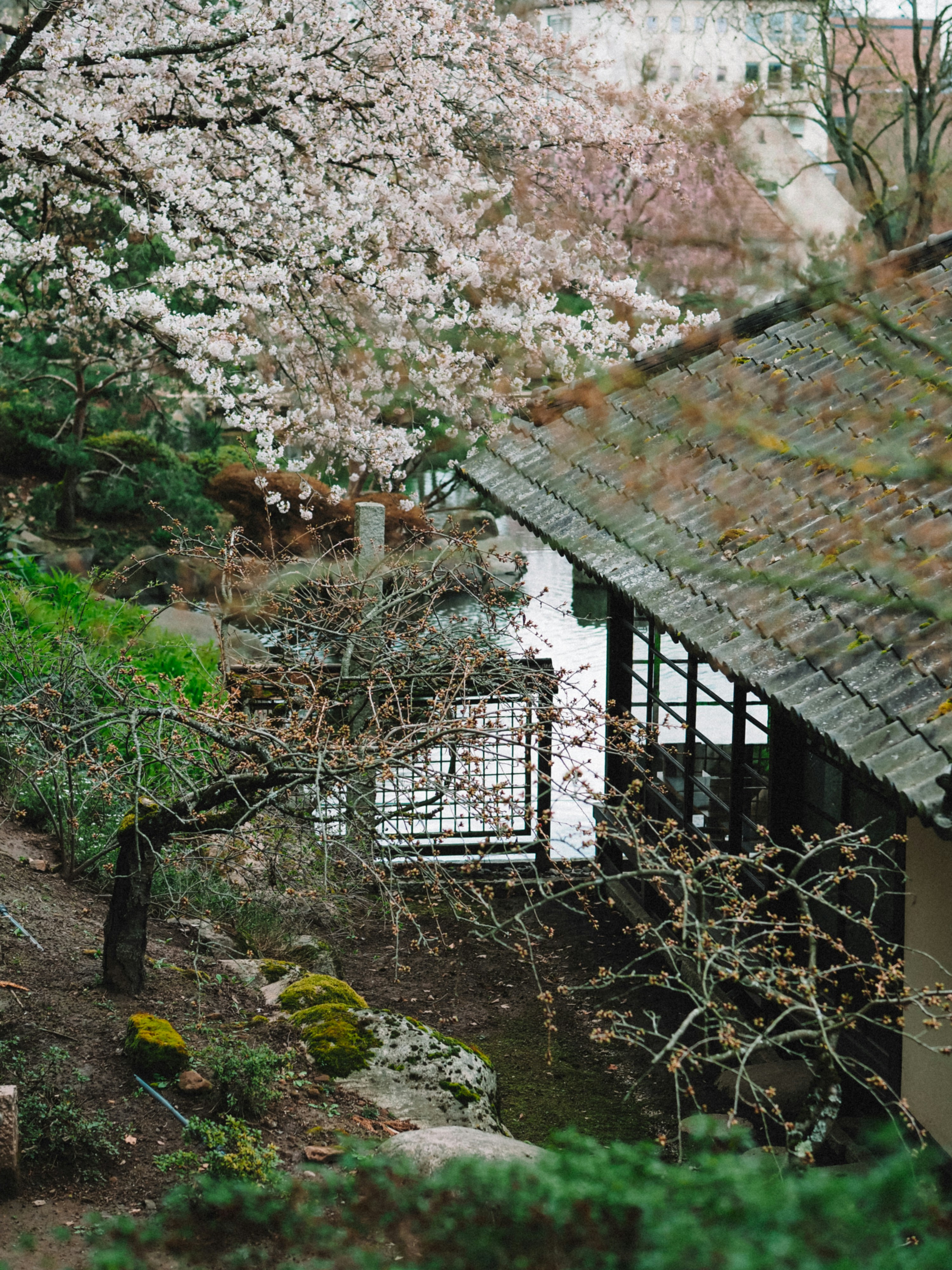 Photo by Alina Zahorulko with Olympus OM-D E-M1 Mark II