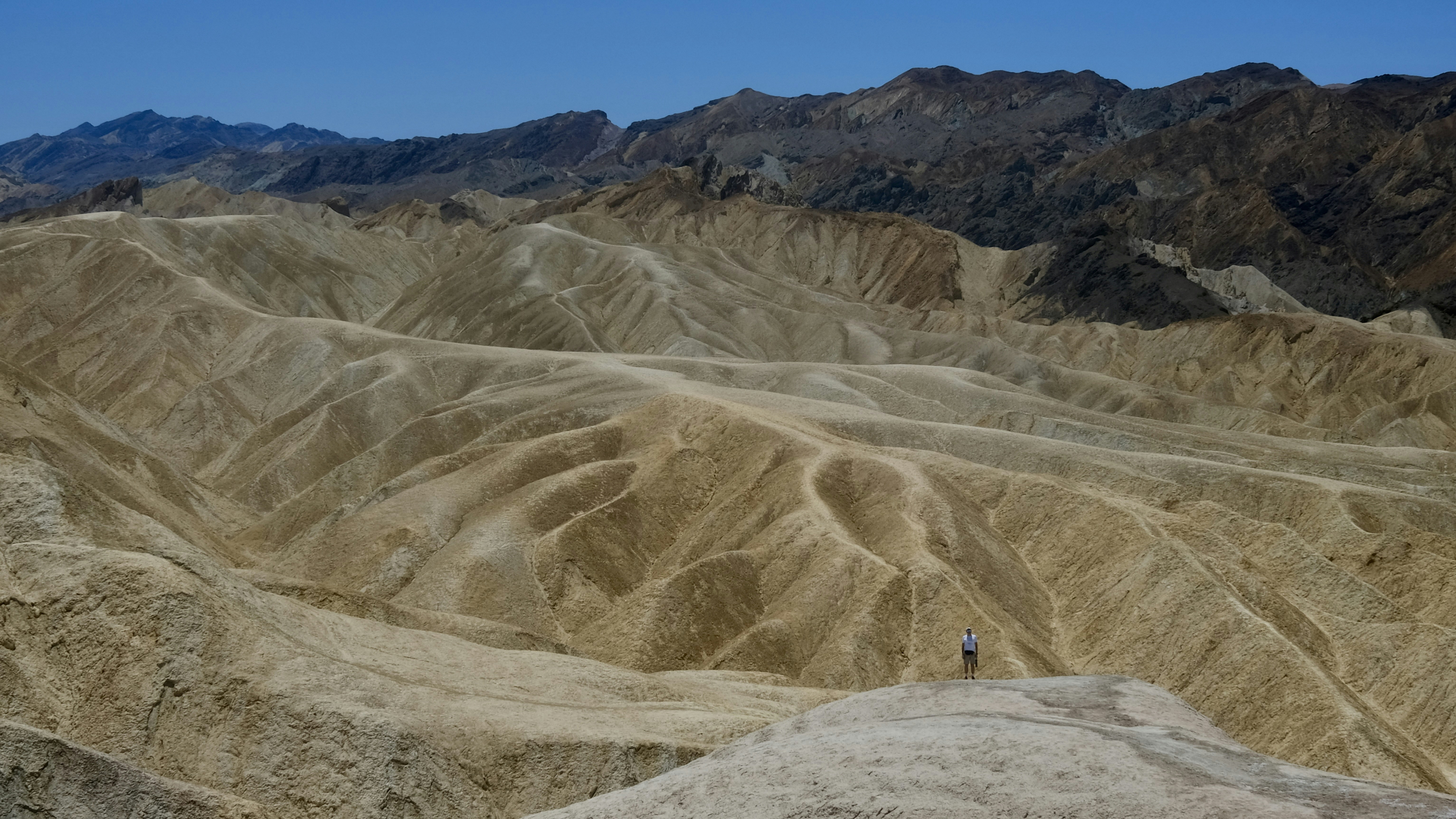 Lone Figure on the Rippled Dunes