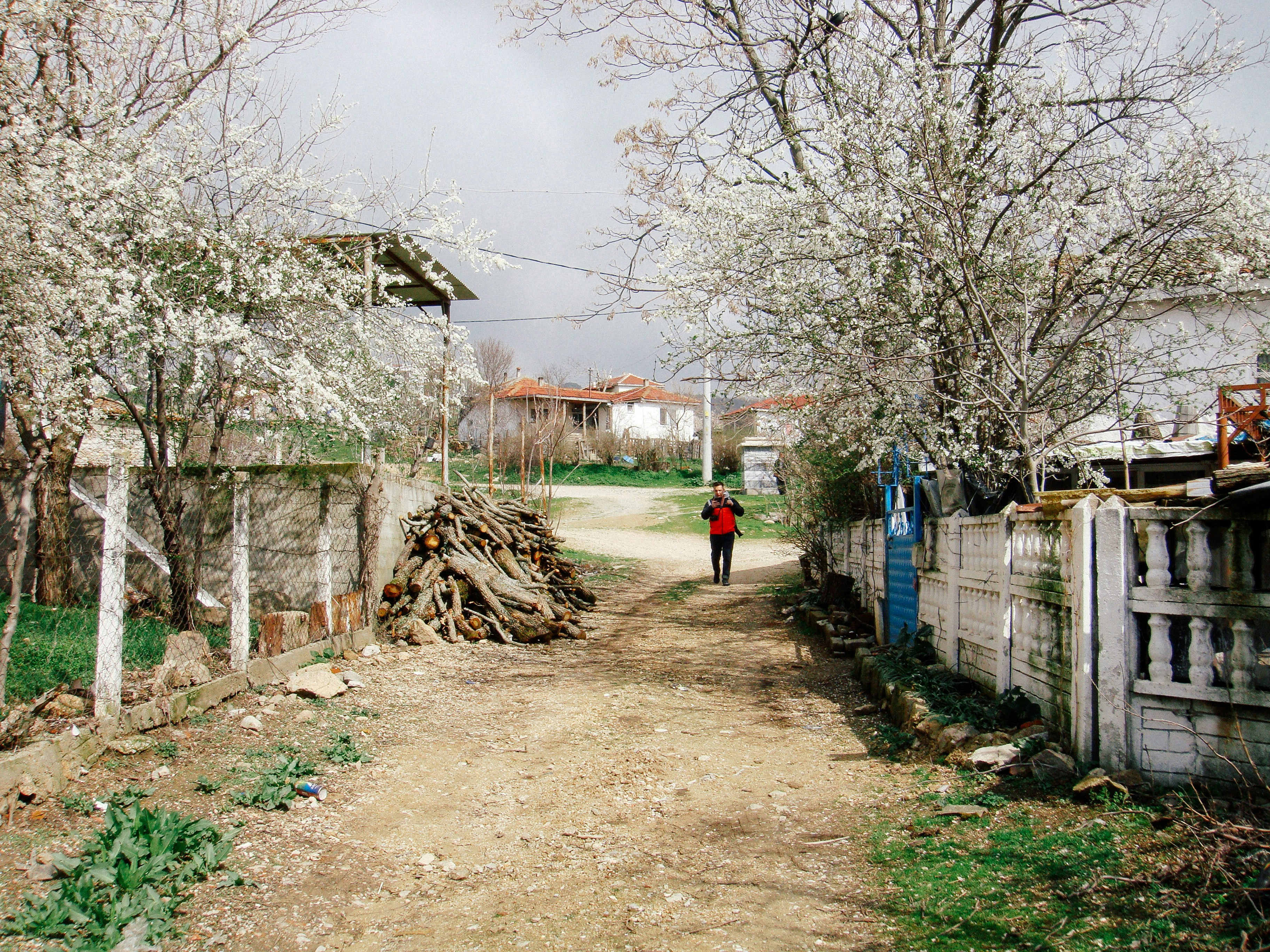 Photo by Büşra Salkım with Sony DSC-T700