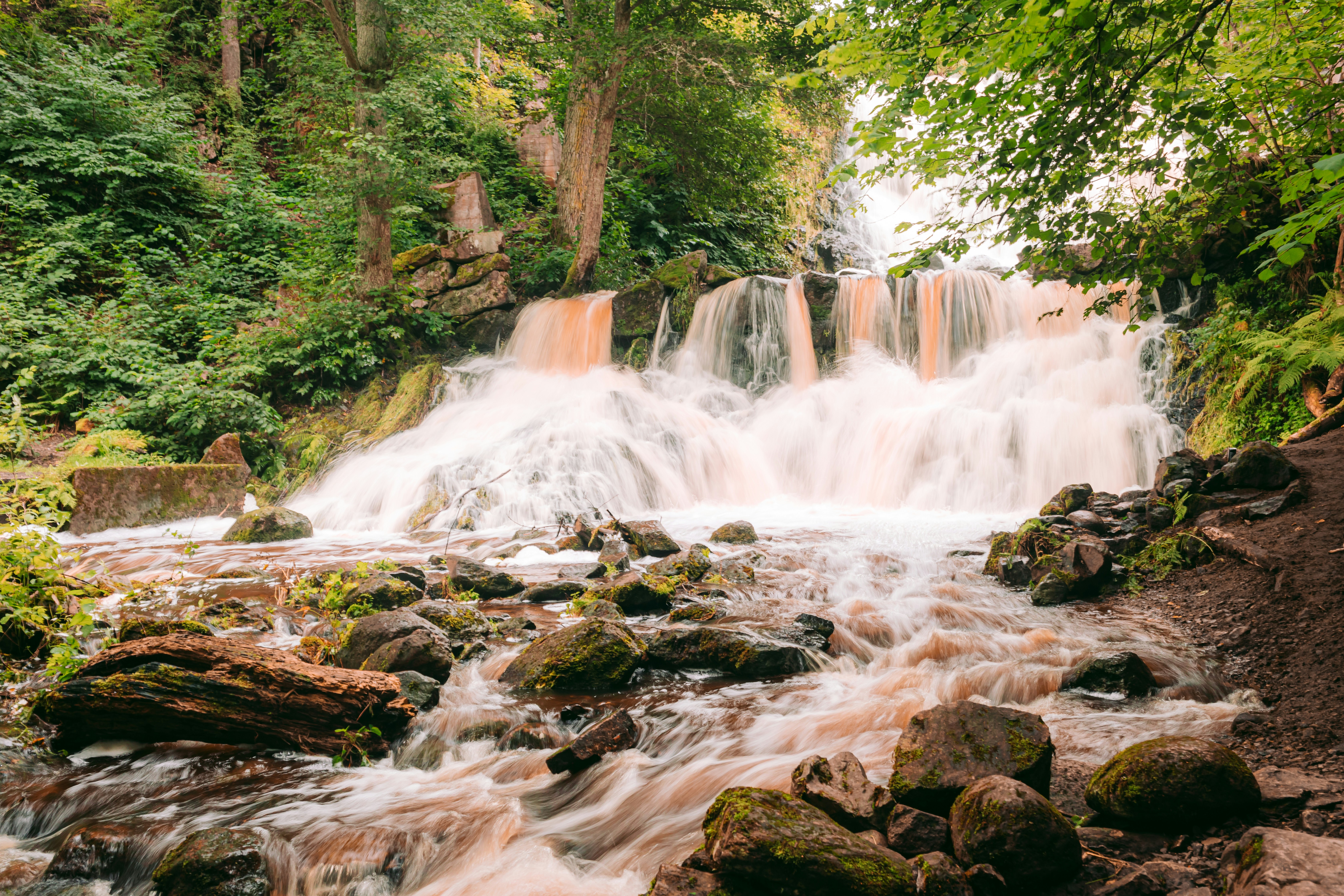 Velvet Cascade: Moss-Crowned Falls in an Emerald Forest