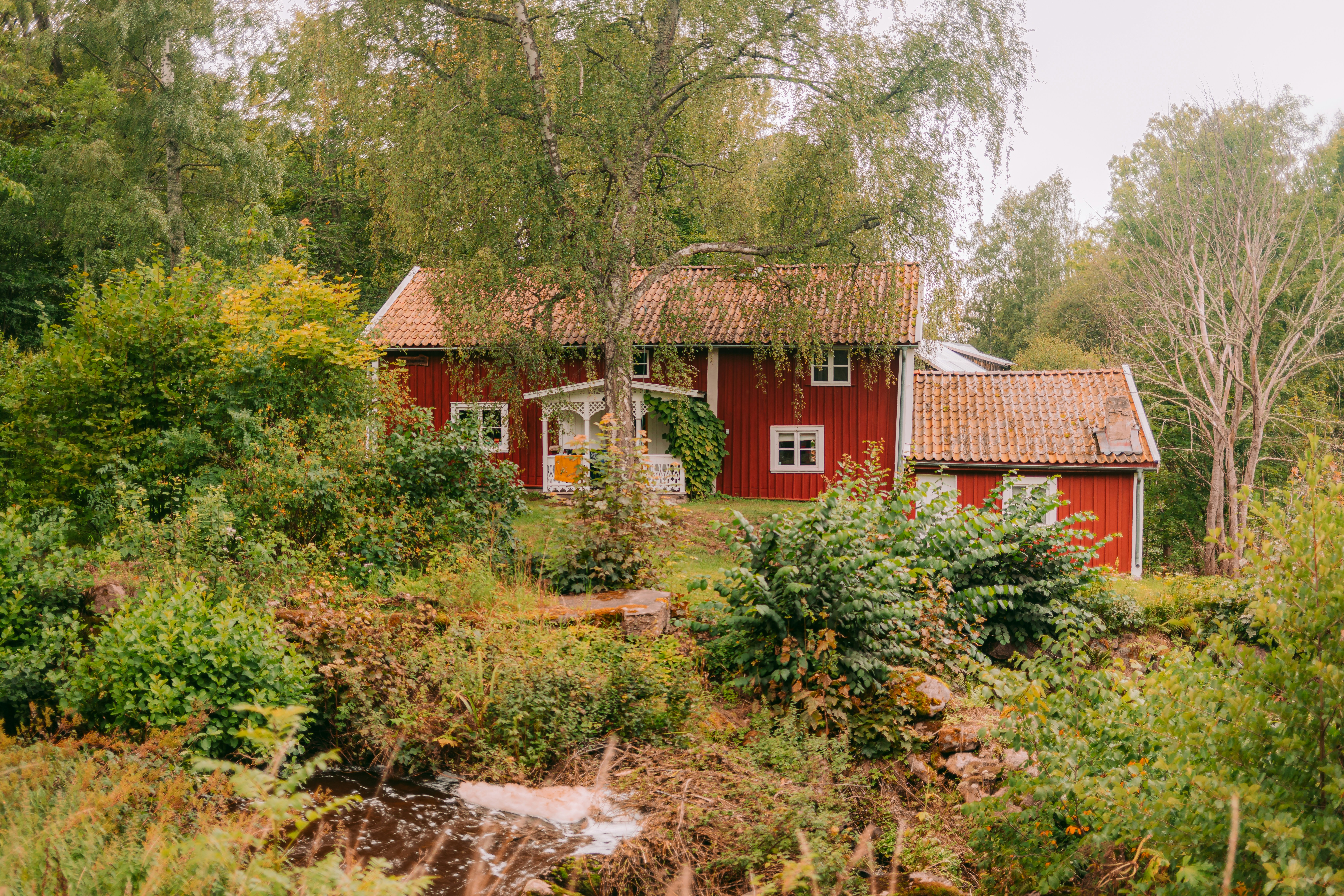 Charming red houses nestled in lush greenery beside a gentle waterfall.
