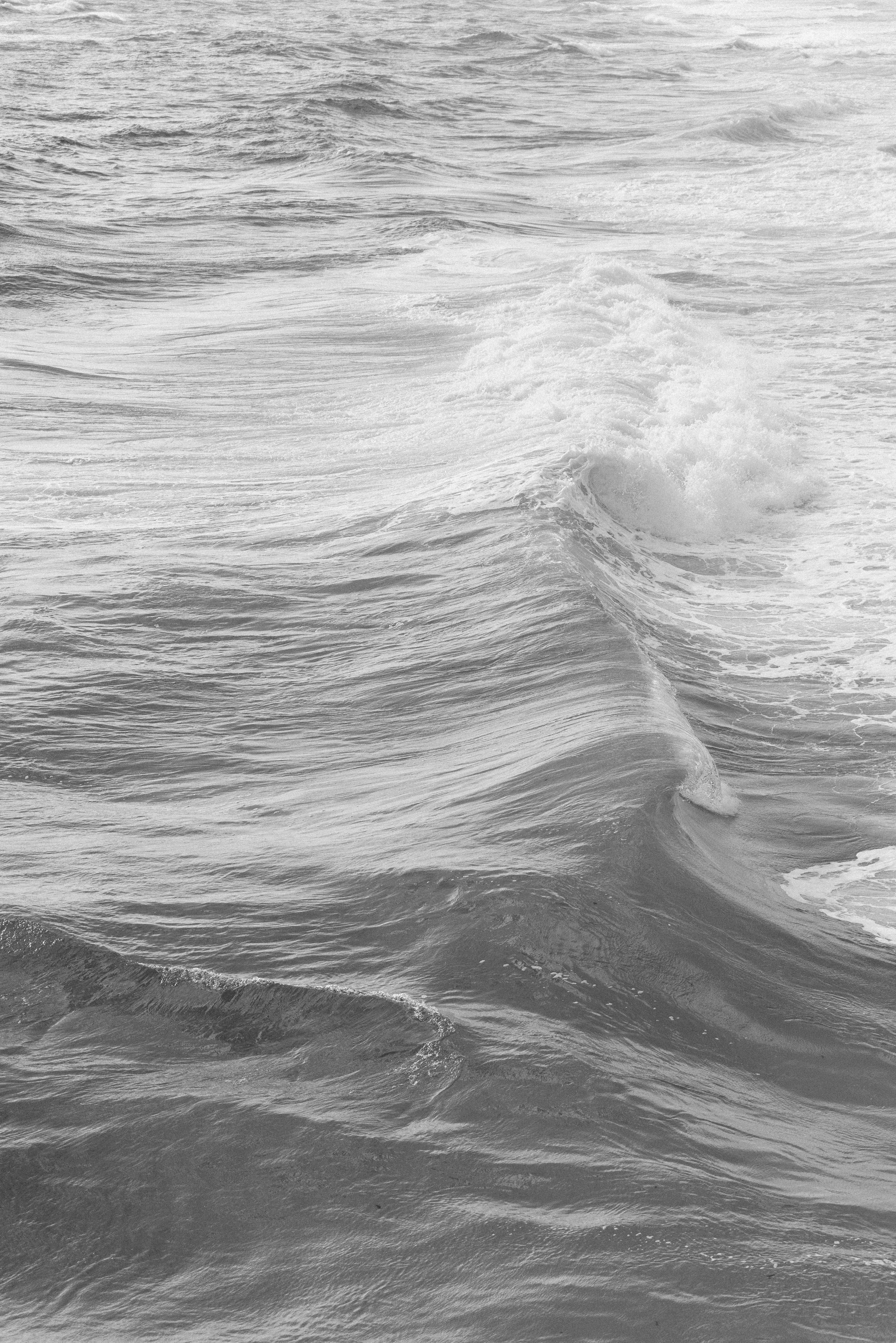 Gray-Scale Tide Line: A Wave Crest in Motion