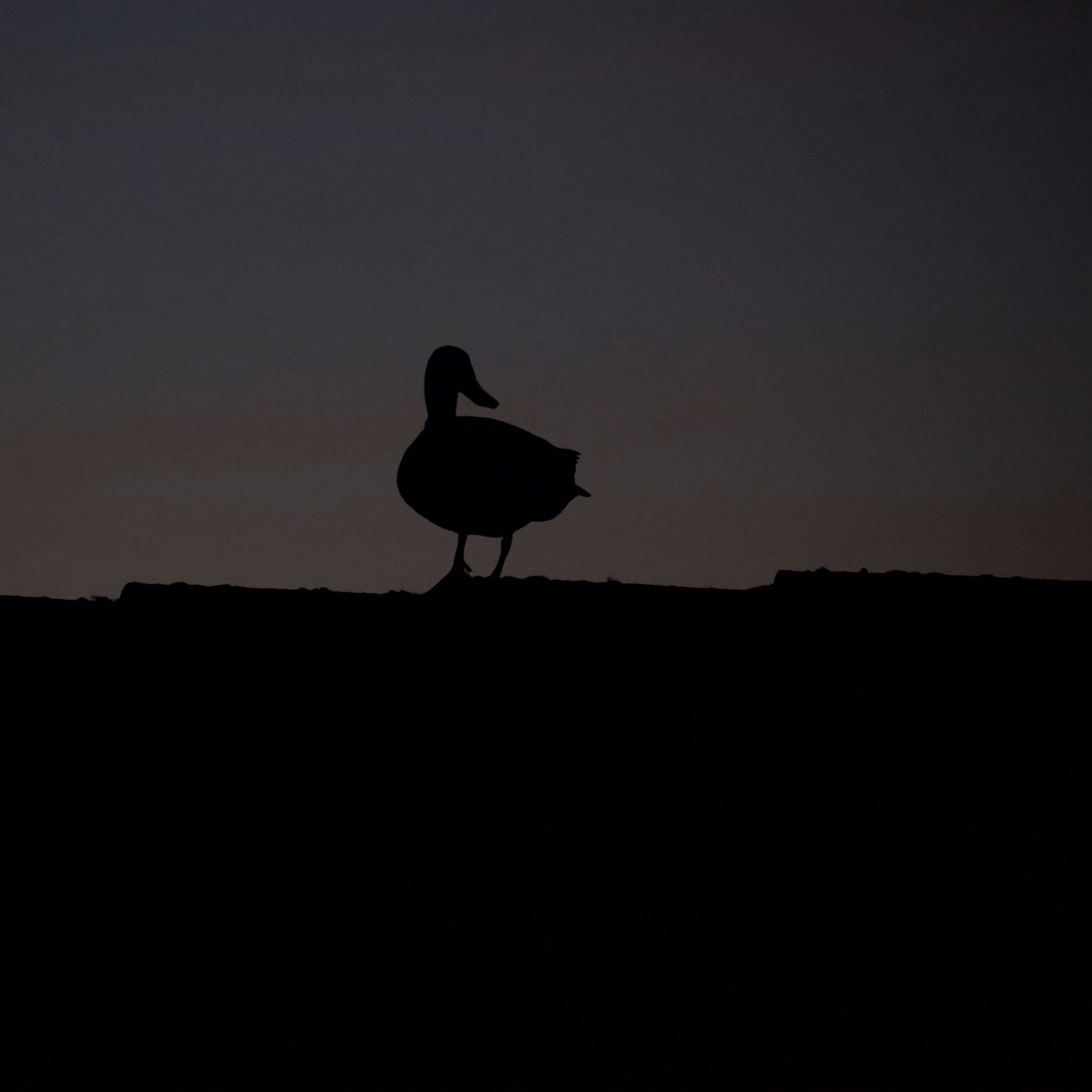 Photo by Haberdoedas II with Fujifilm X-T4