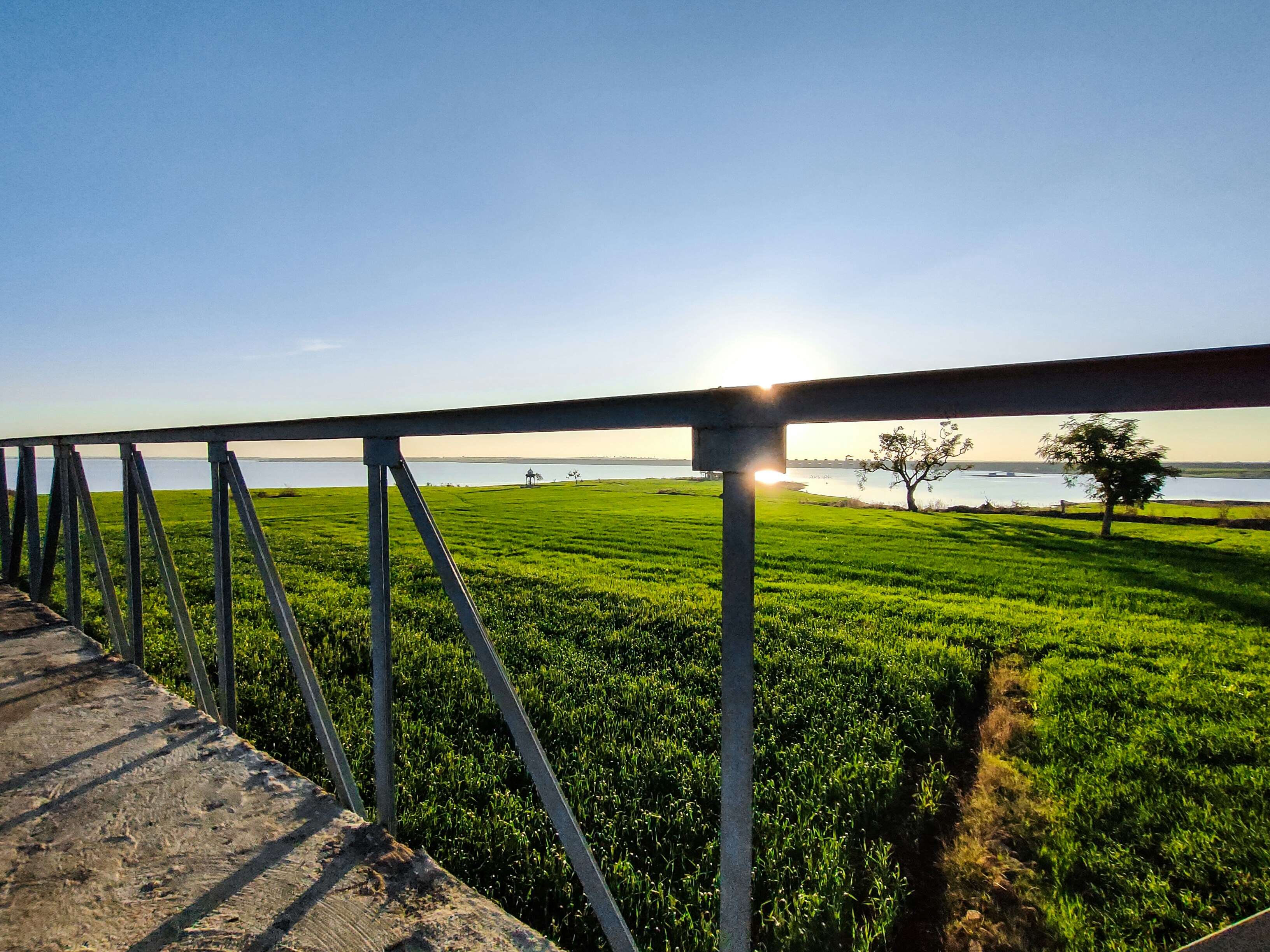 A sunlit railing cuts diagonally across a vibrant green field toward the horizon, with a distant body of water and a few trees under a clear blue sky.