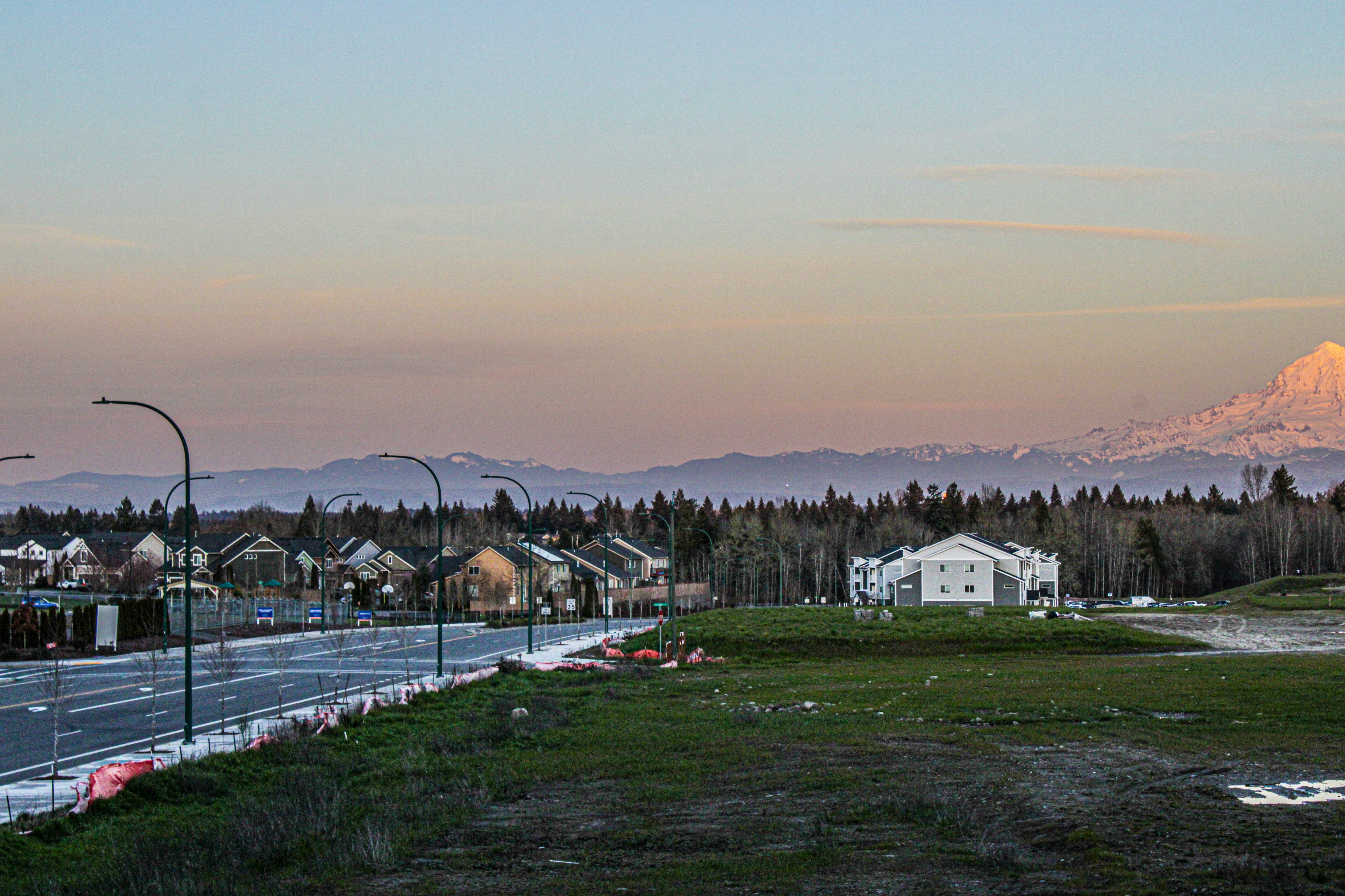 Emerald Suburb at Dusk: A Quiet Panorama Beyond the Road