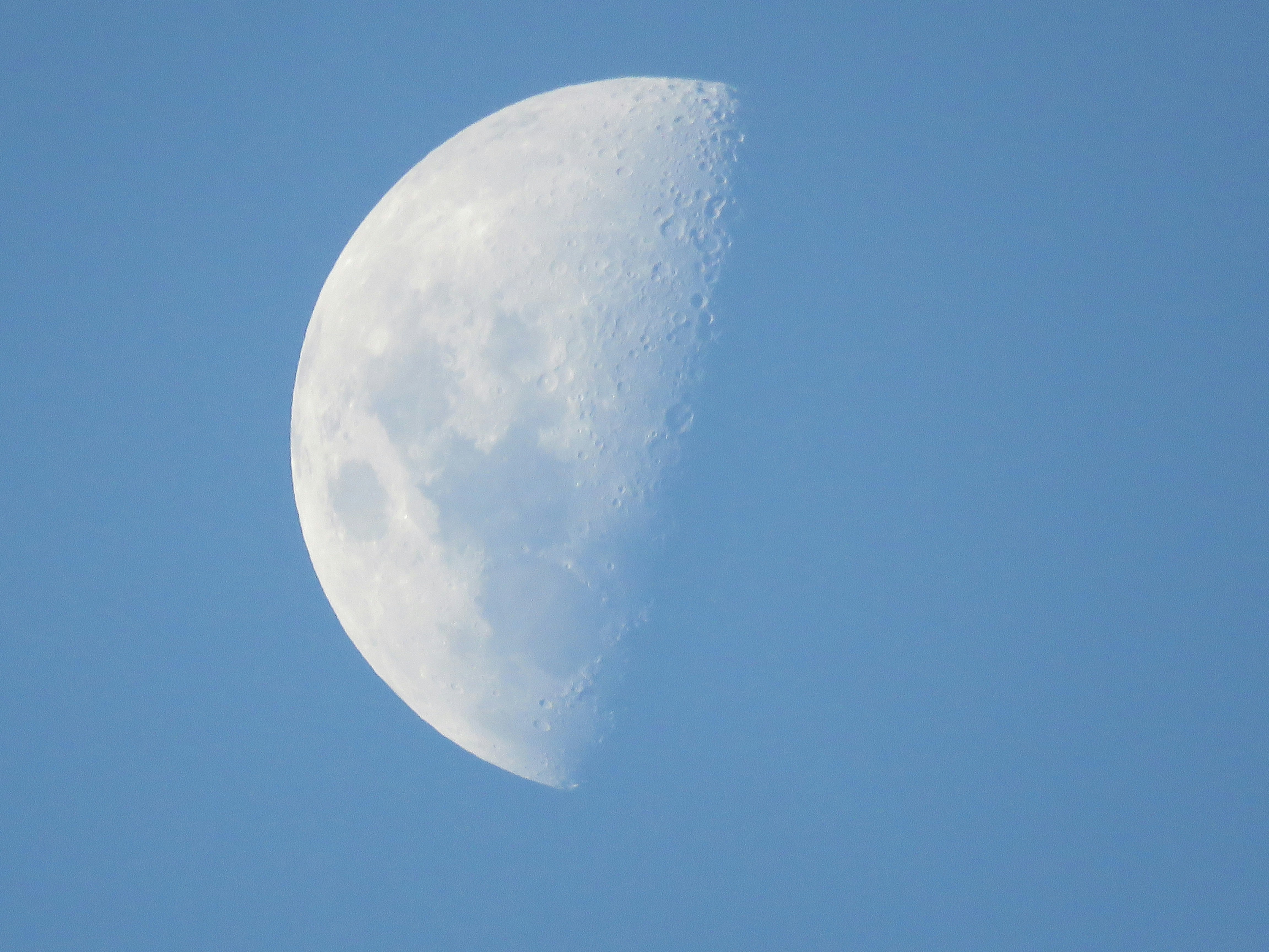 Half moon set against a clear blue sky, showcasing surface details.