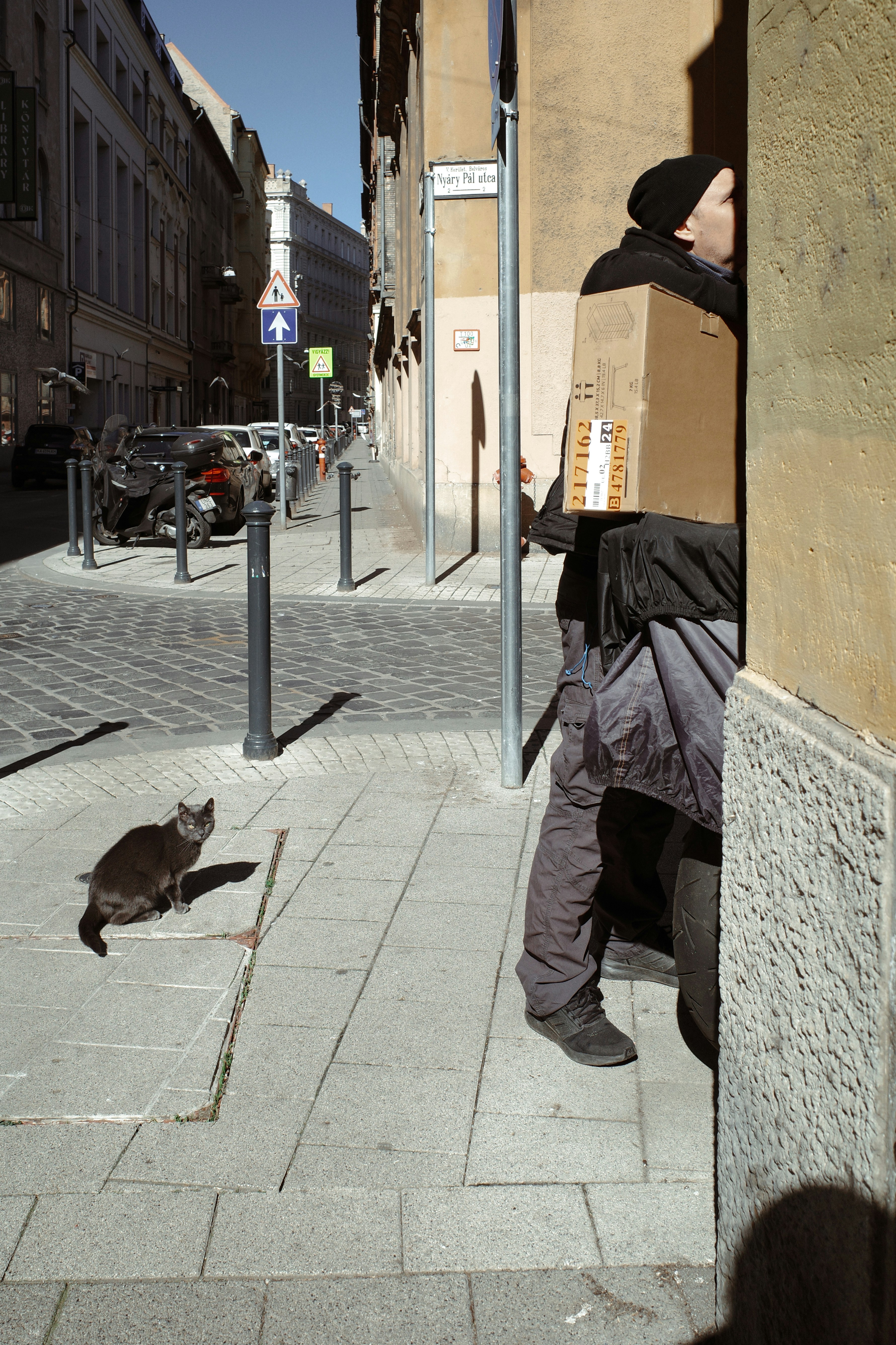 Photo by Richard Stachmann with Ricoh GR III