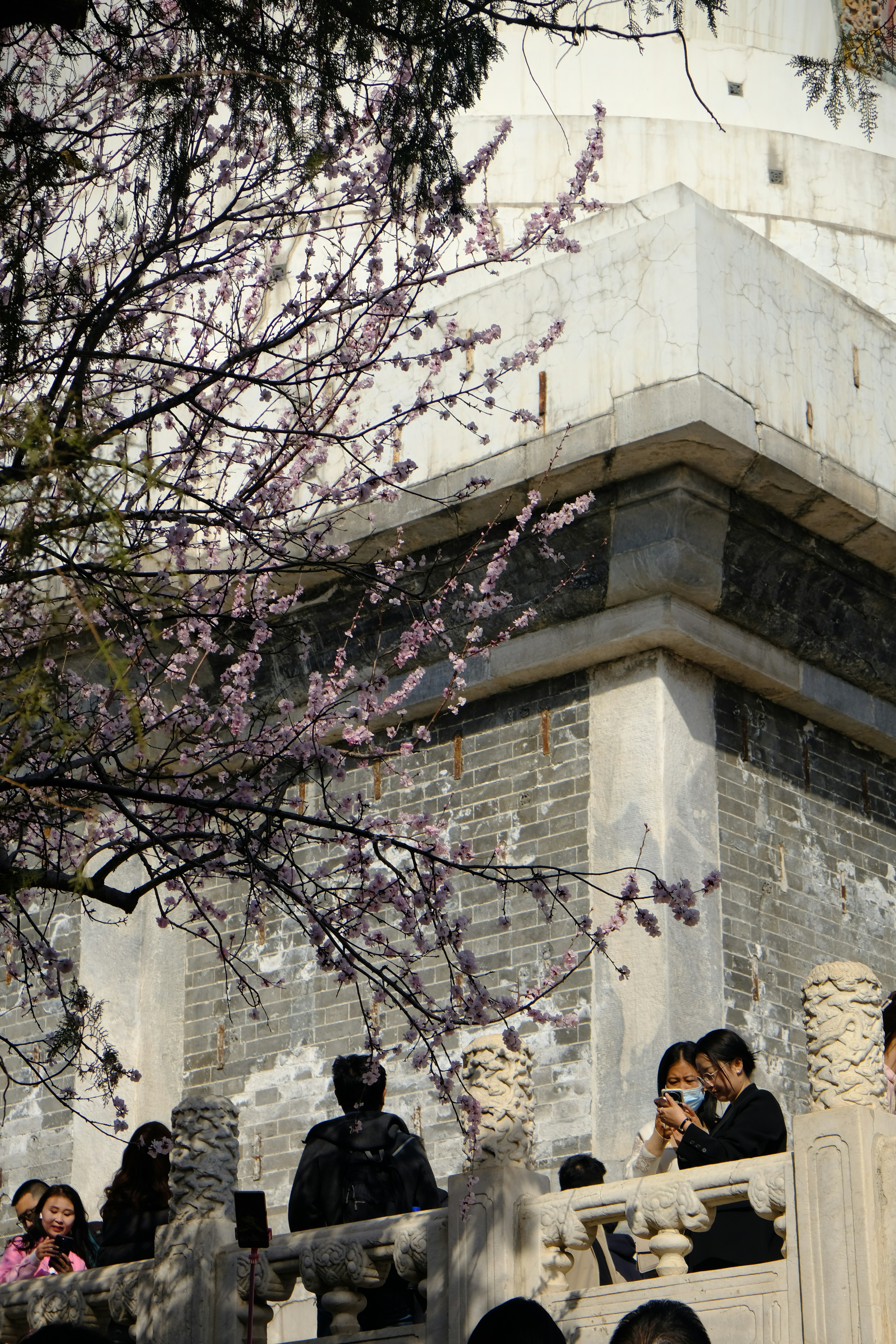 Photo by HUANG GABE with Fujifilm X-T20