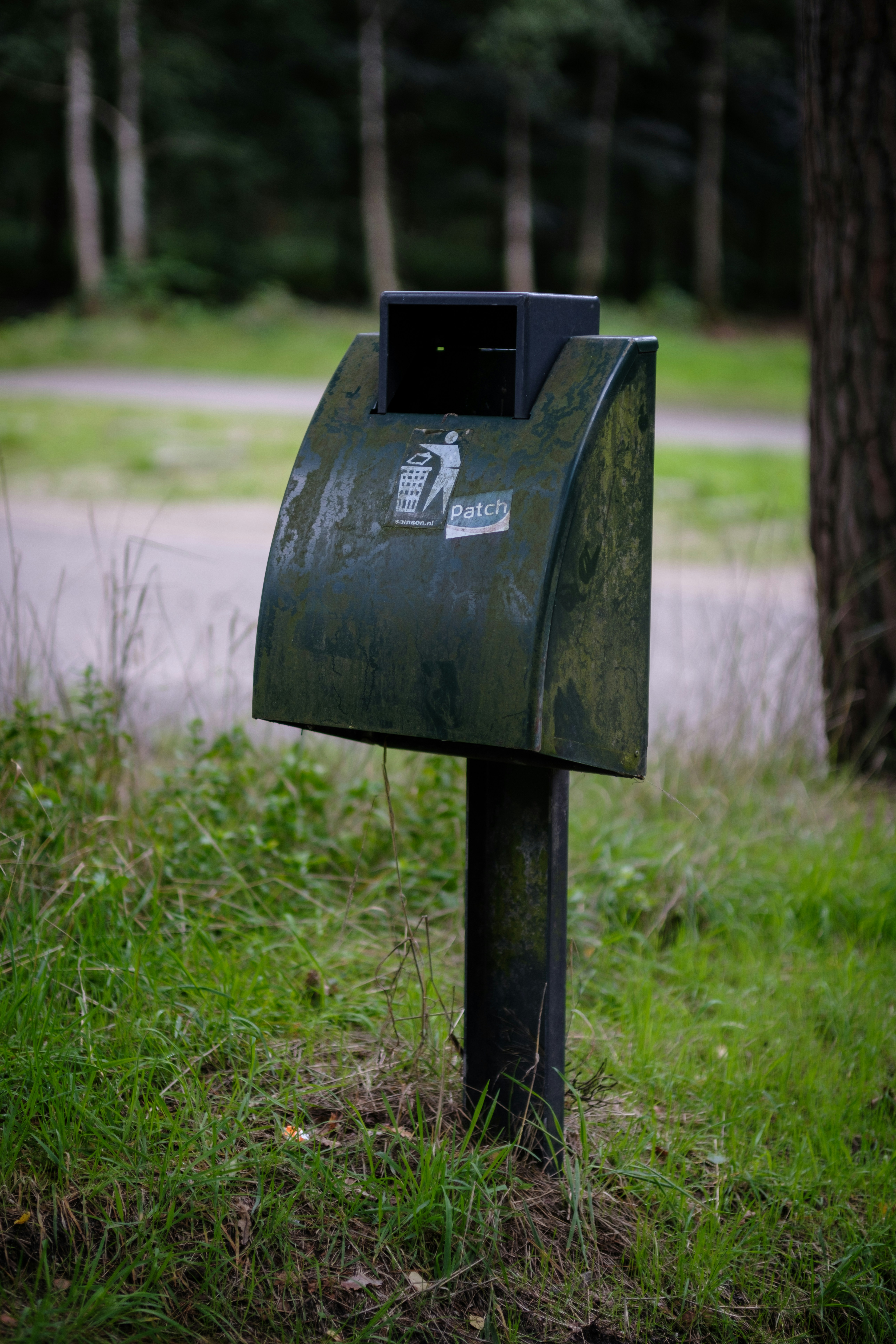 A green mailbox sitting in the grass near a tree photo – Free Mailbox ...