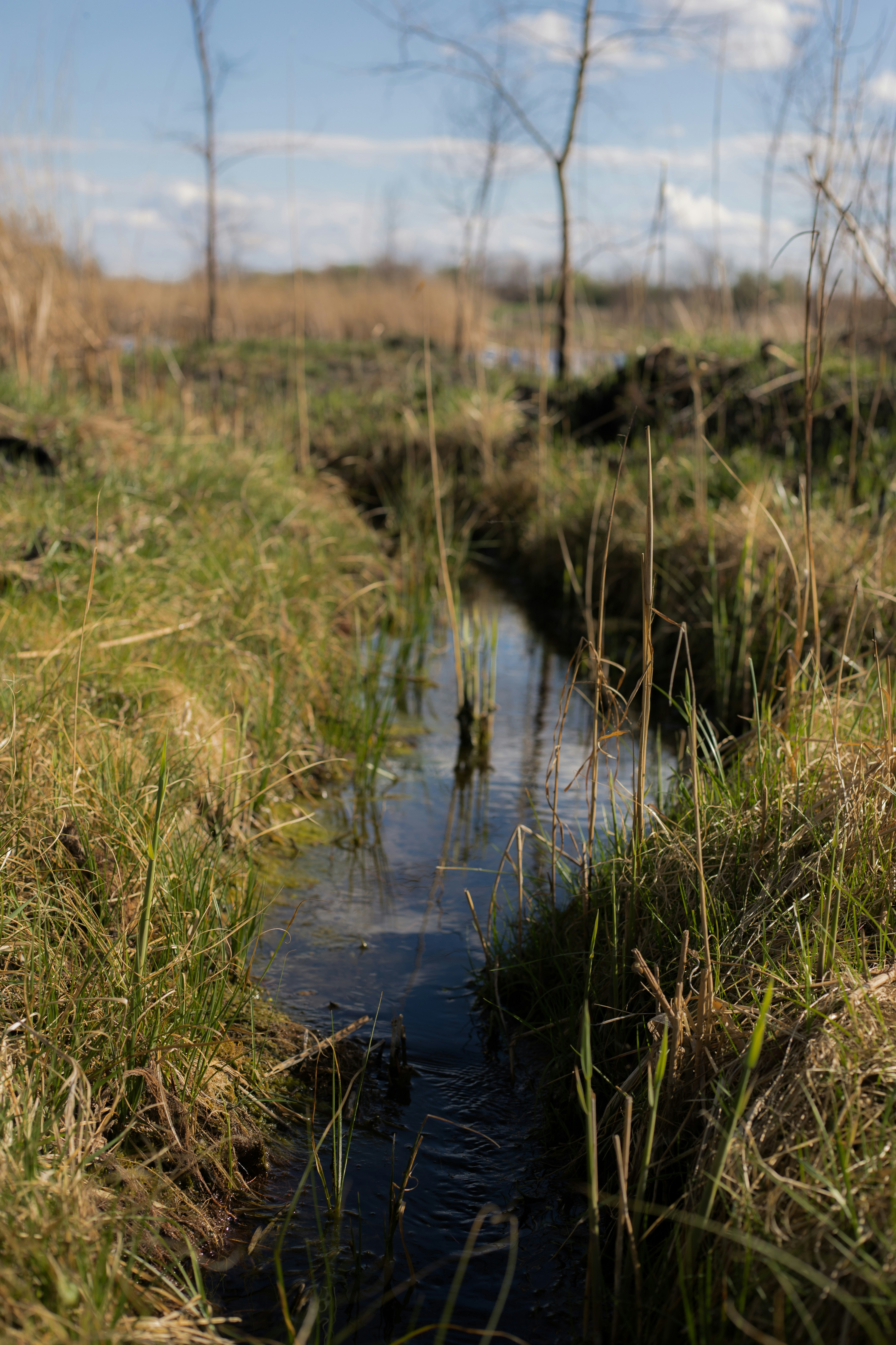 A small stream running through a grassy field photo – Free Jezero beli ...