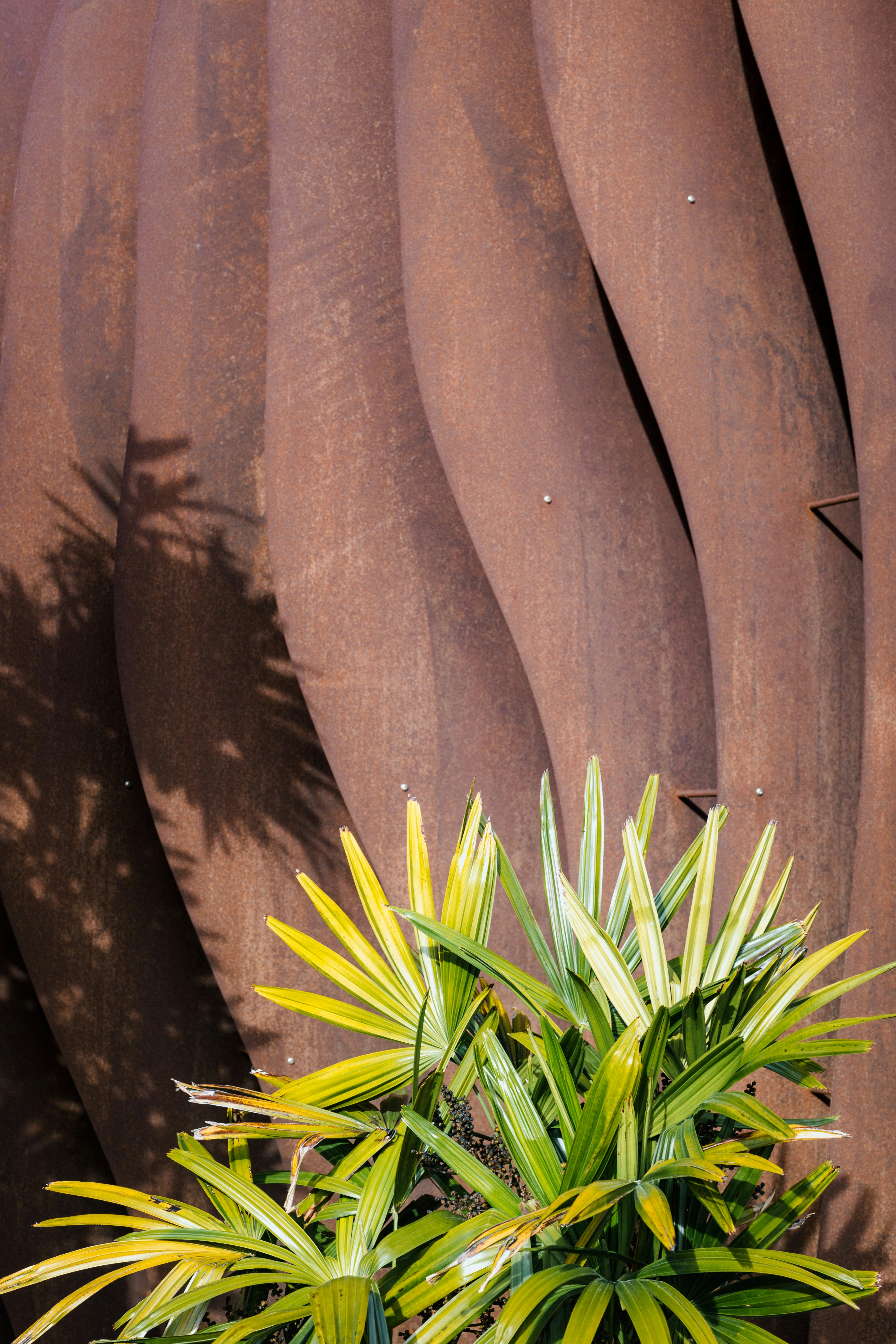 Photo by Jason Leung with Canon EOS R6