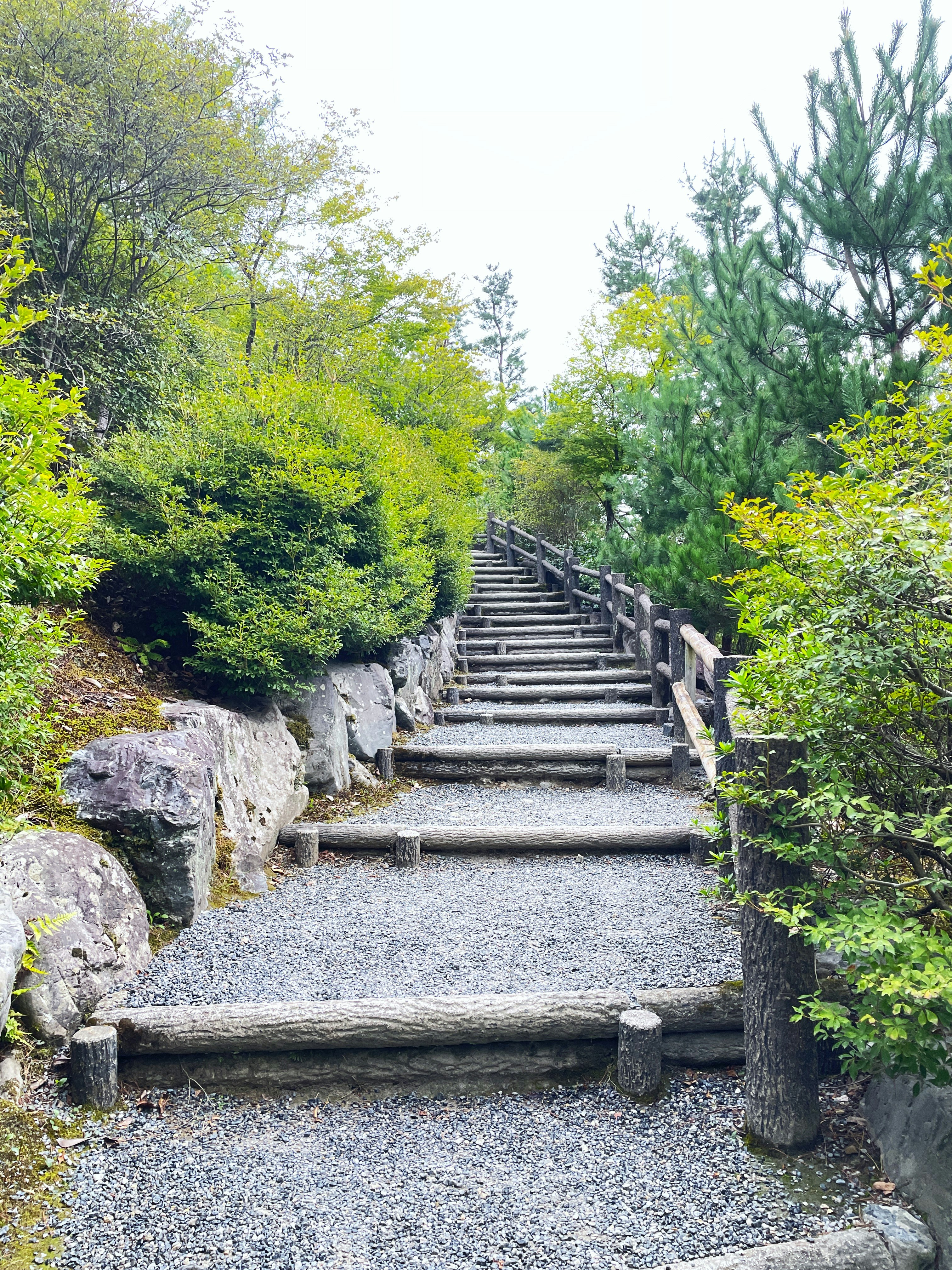 Quiet Ascent: Gravel Steps Winding Through a Green Corridor