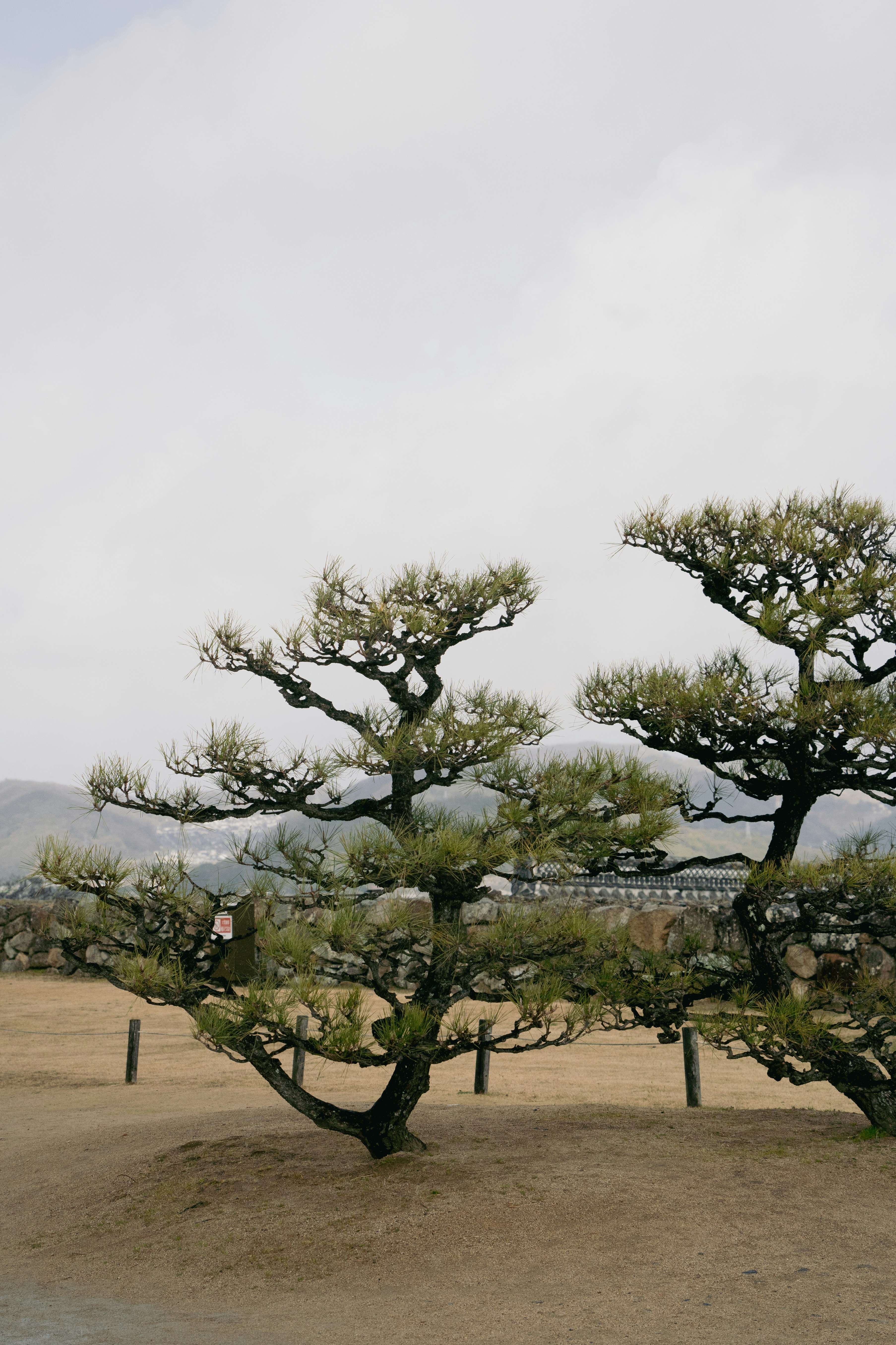 Photo by Taiki Ishikawa with Sony Alpha 7 III