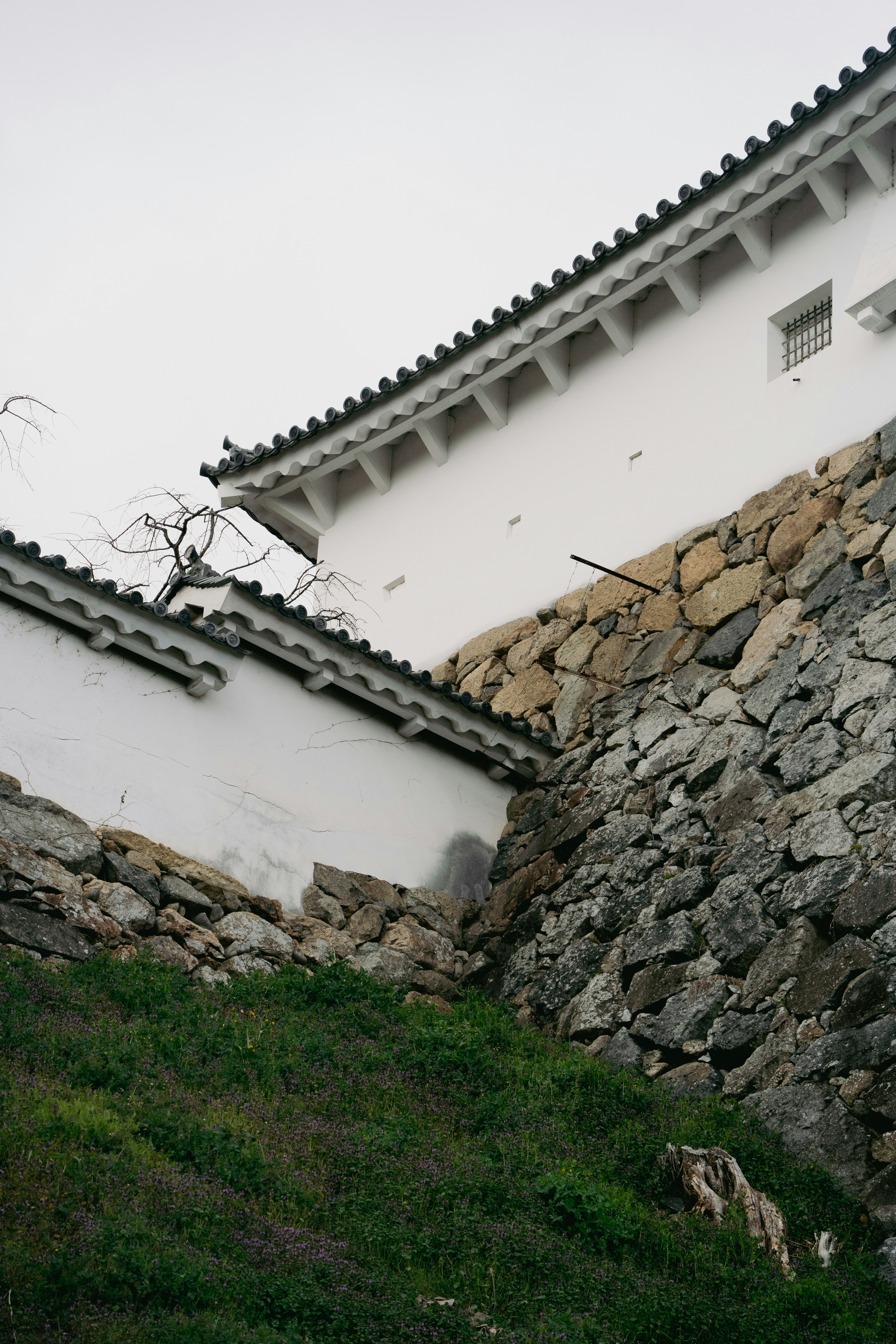Building With Angled Walls Pictures | Download Free Images on Unsplash