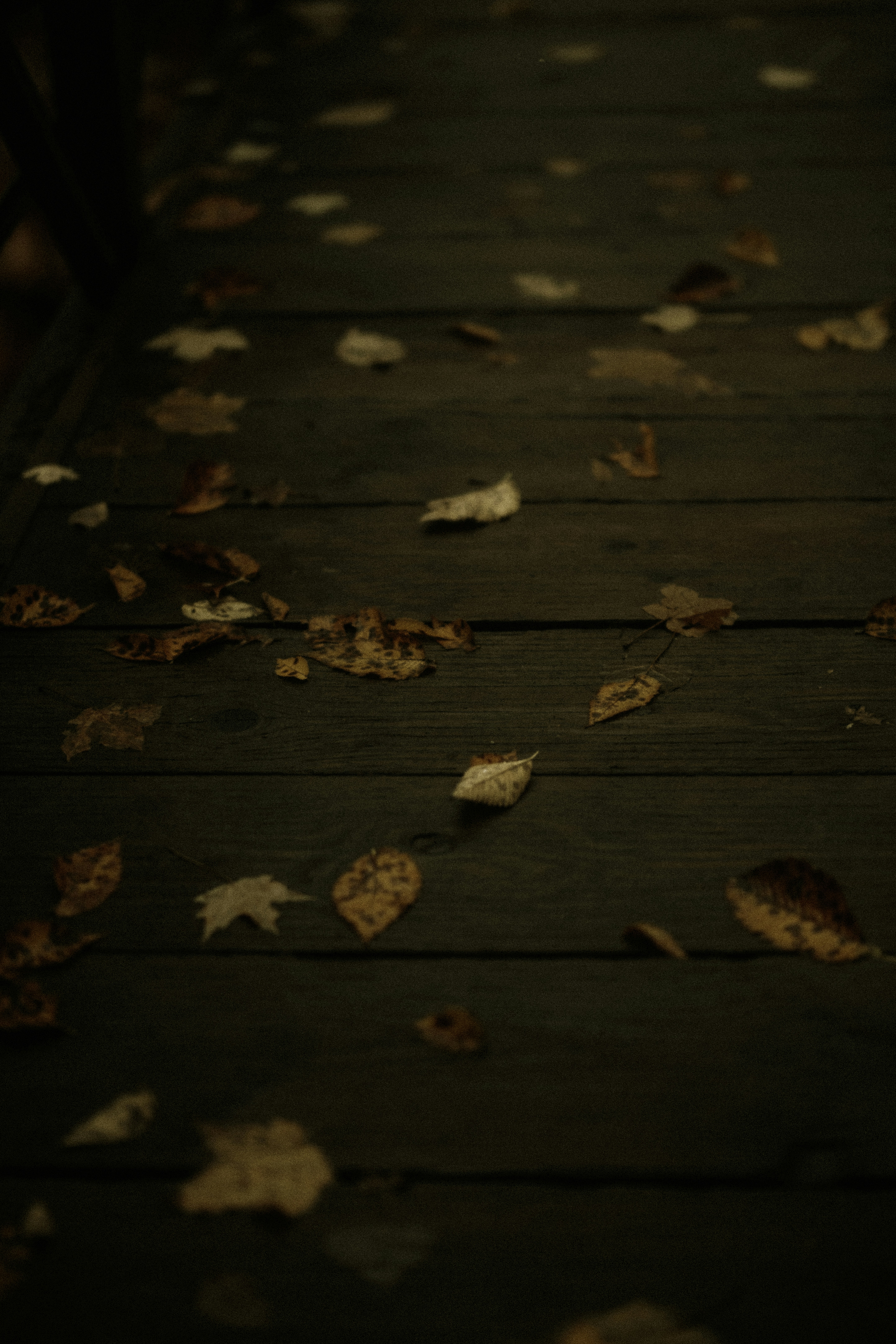 Poetry Background Pictures | Download Free Images on Unsplash