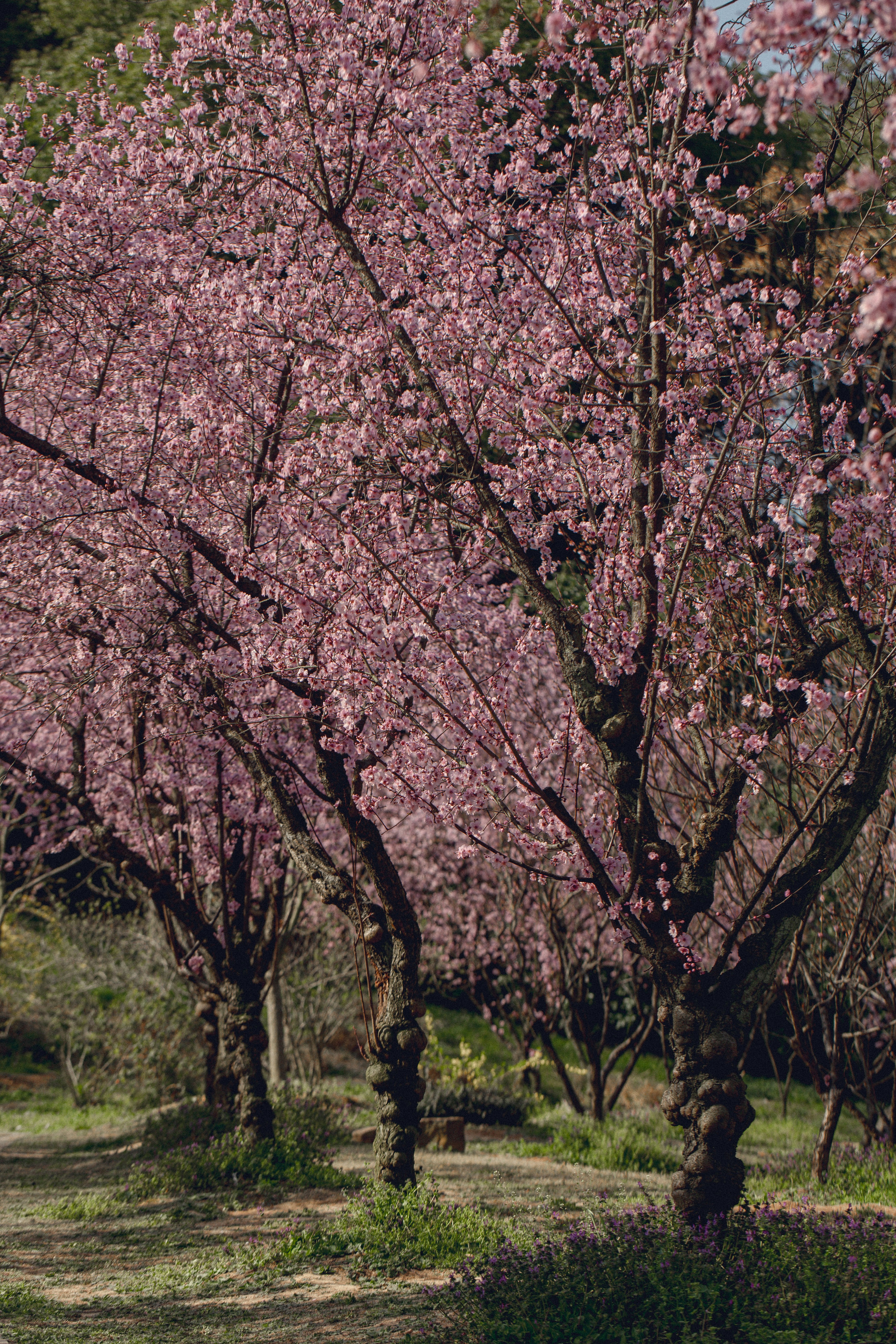 Photo by Neat J with Canon EOS R6