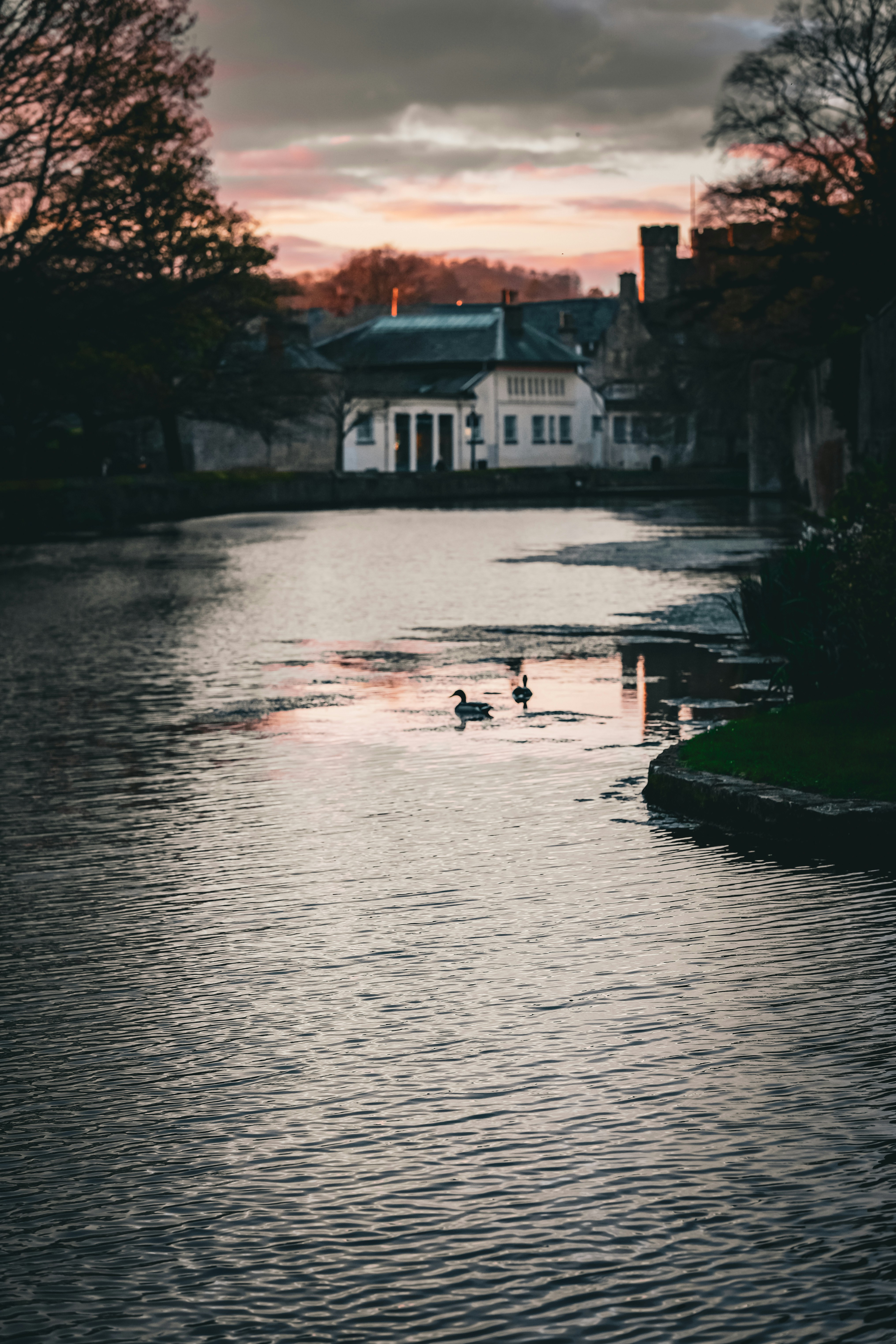 Bishops Palace Sunset | a couple of ducks floating on top of a river