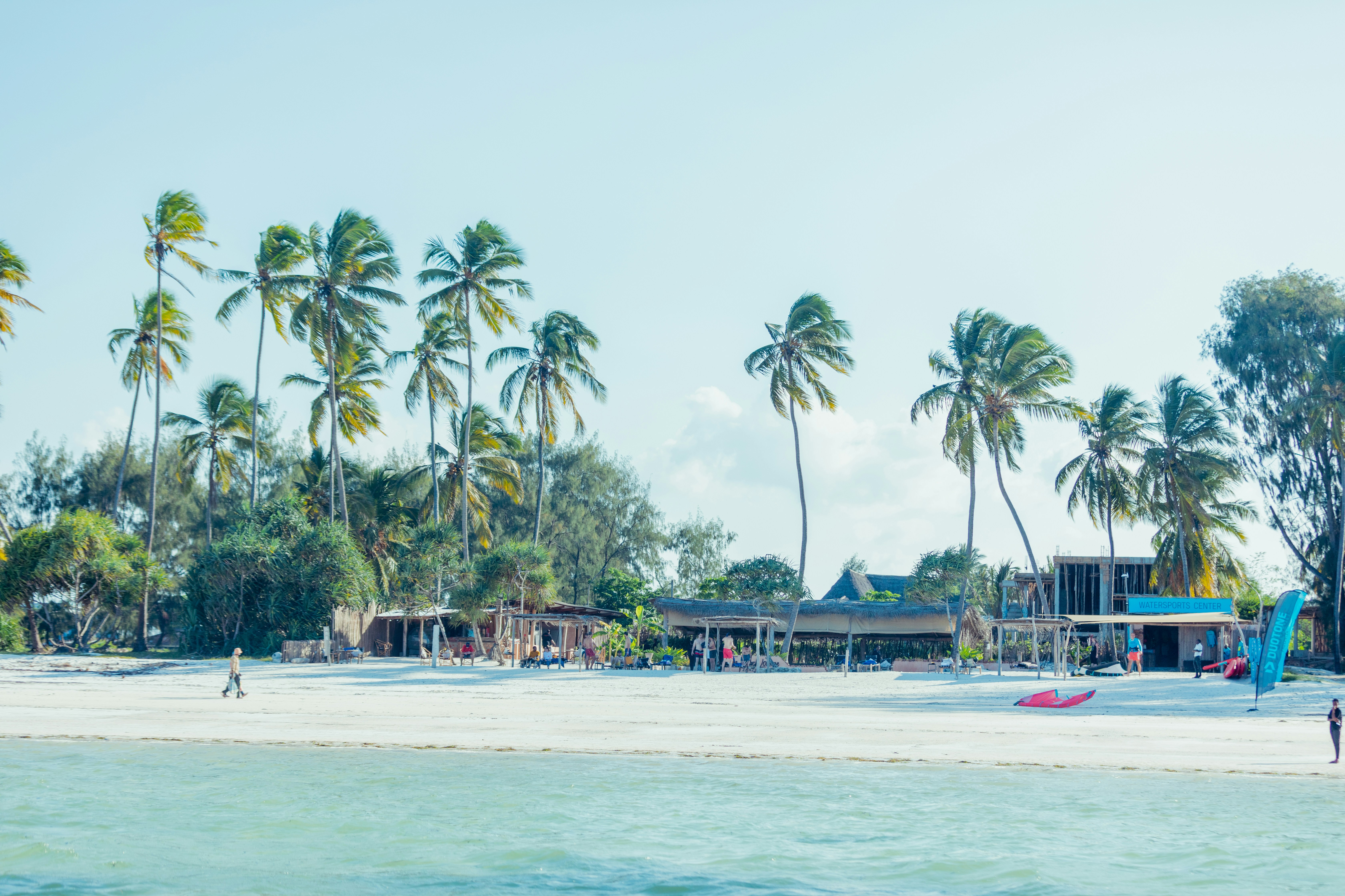 A beach with palm trees and people on it photo – Free Beach Image on ...
