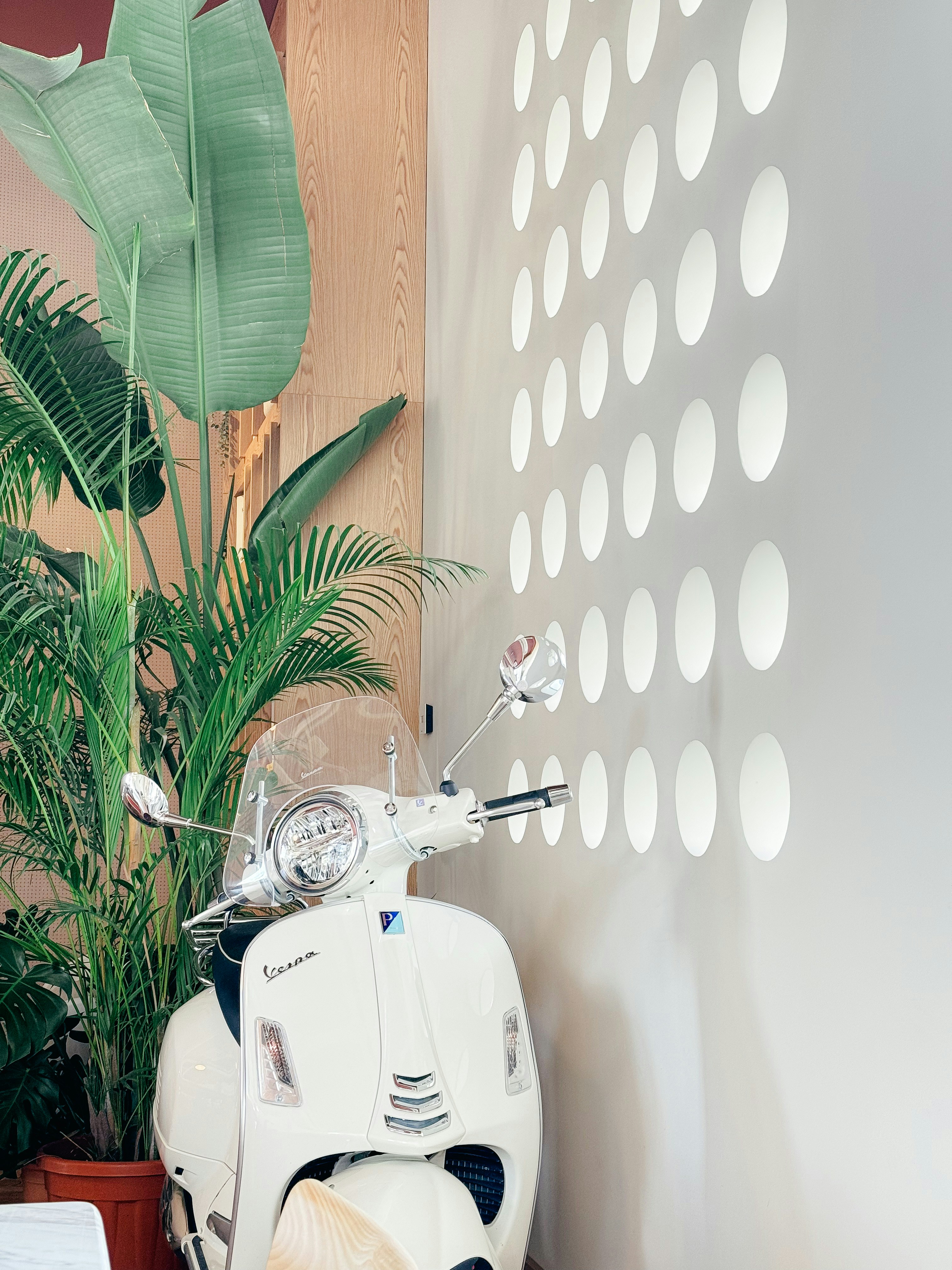 A classic Vespa scooter nestled among lush greenery, set against a backdrop of a modern, dotted wall design.