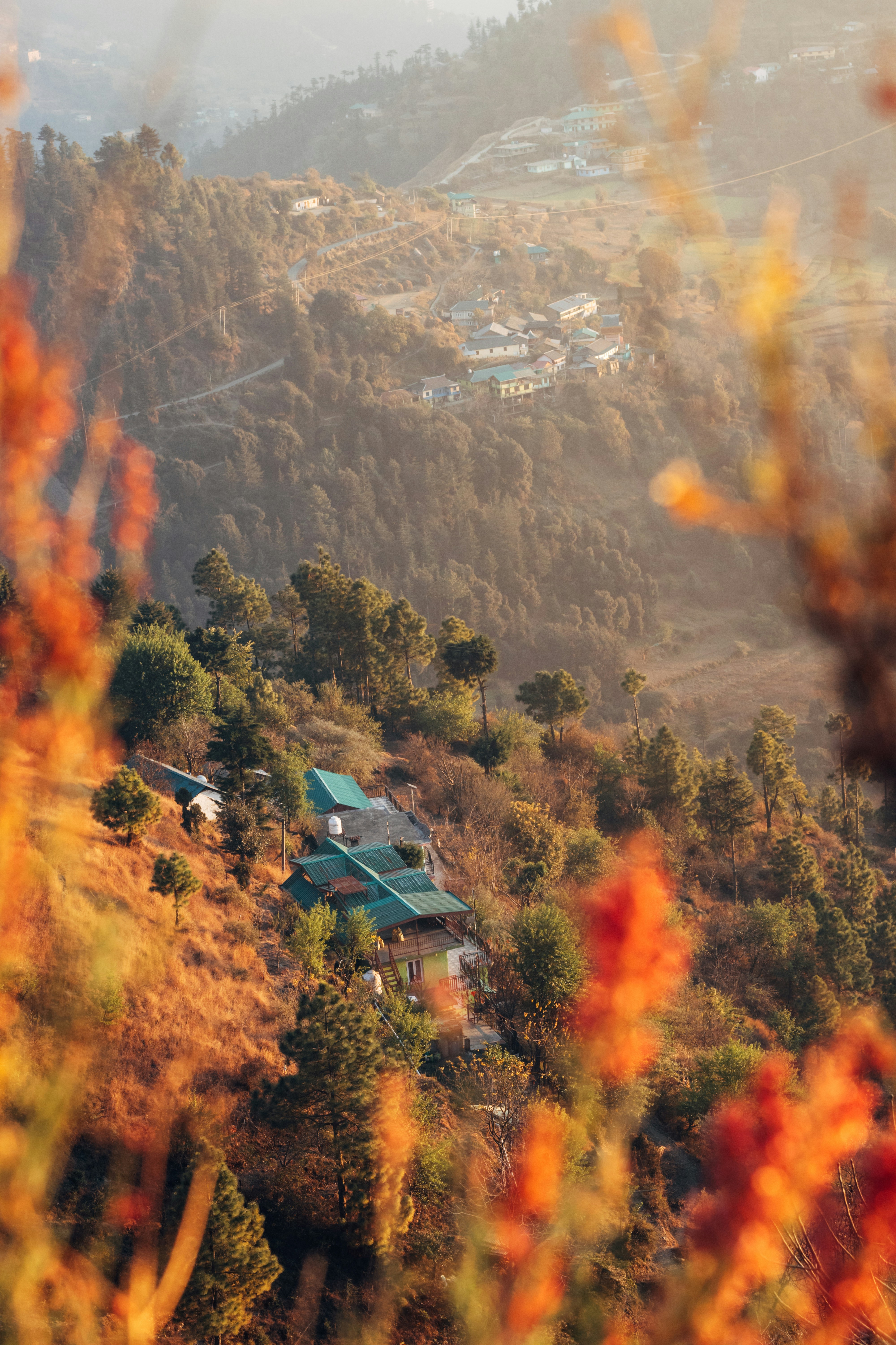 Hearths on the Hill: A Quiet Village Woven into Autumn Mist