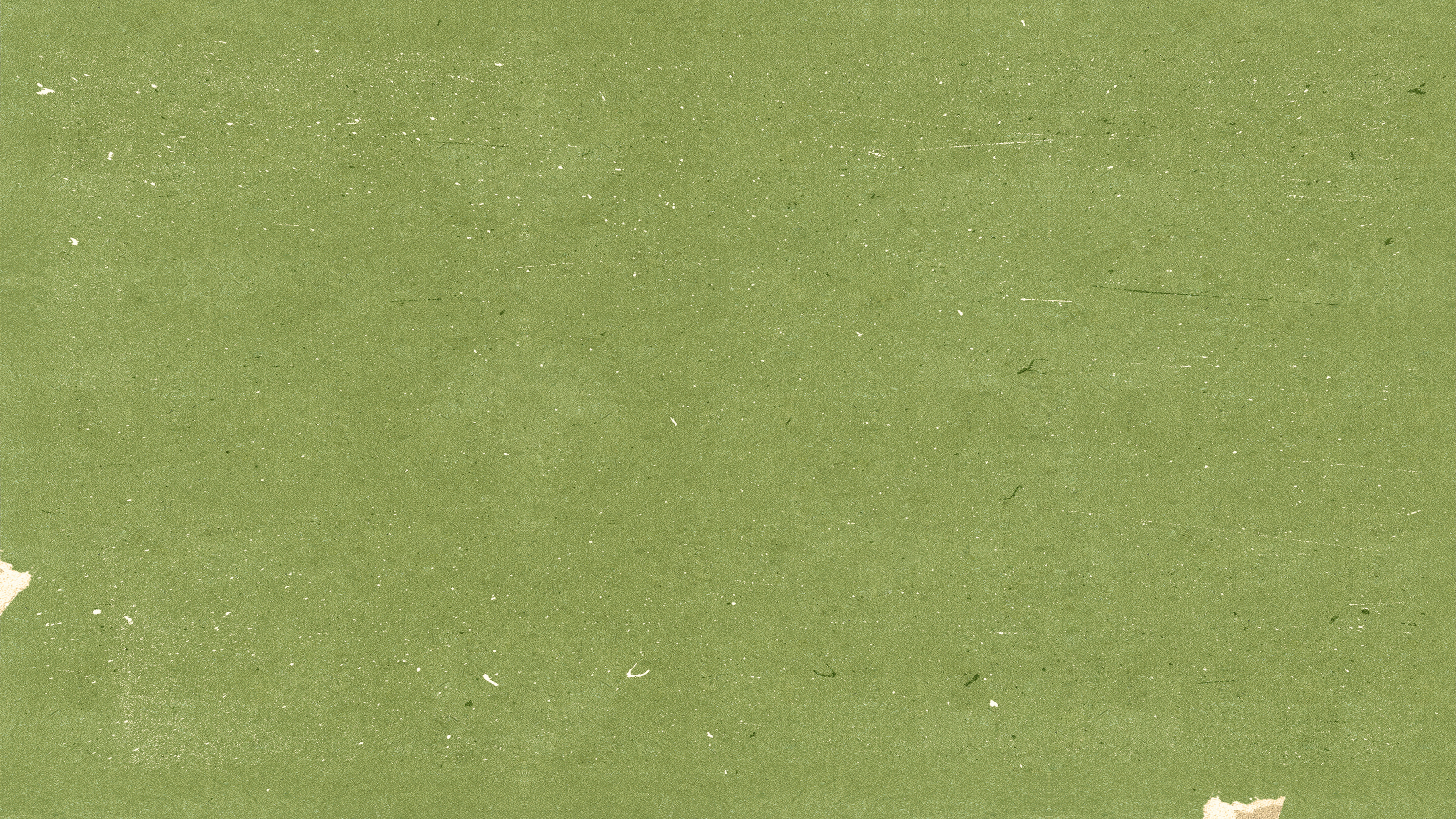 550+ Green Texture Pictures | Download Free Images on Unsplash