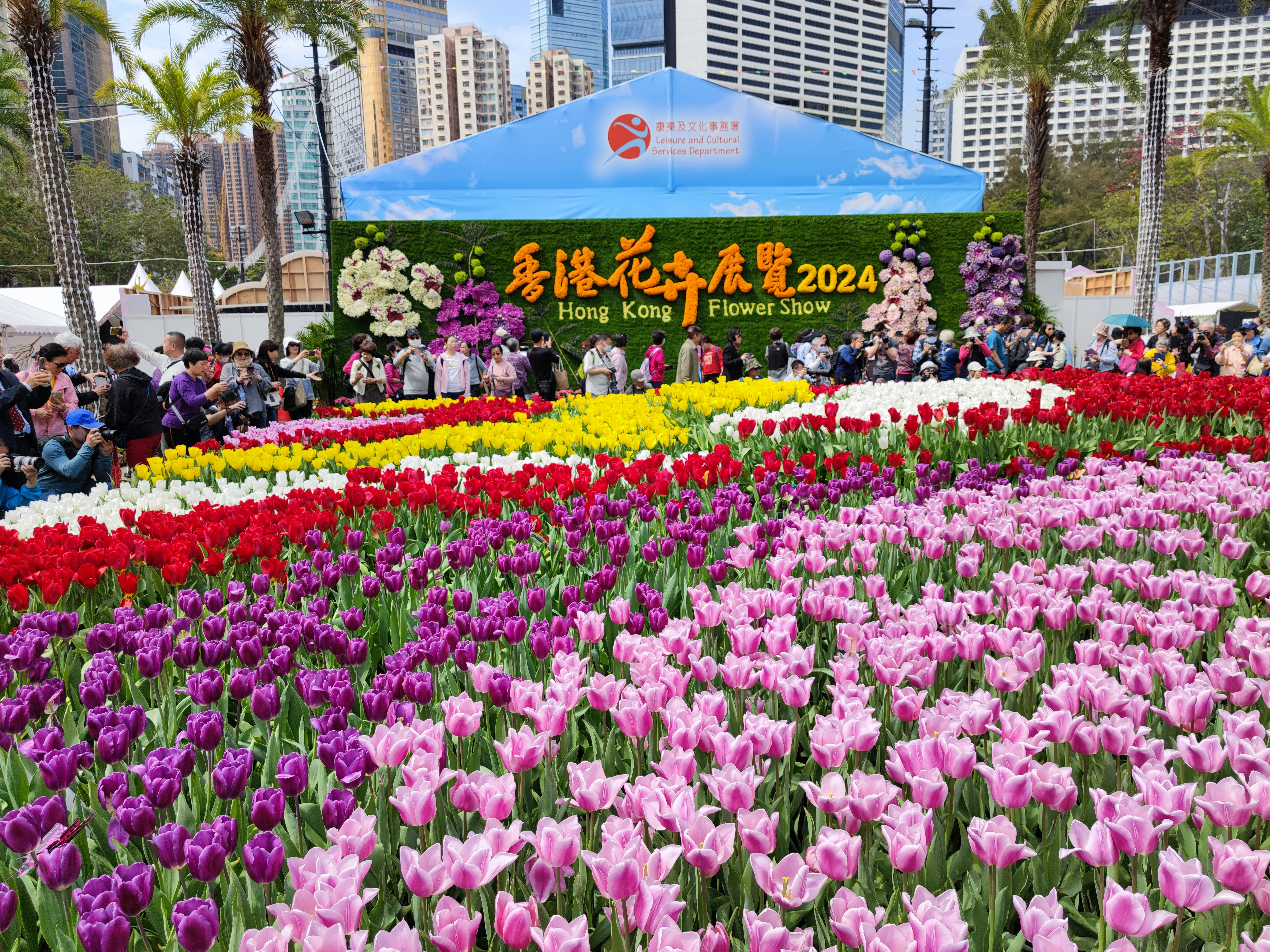Tulip Mosaic Framing a Festival Stage at Hong Kong Flower Show 2024