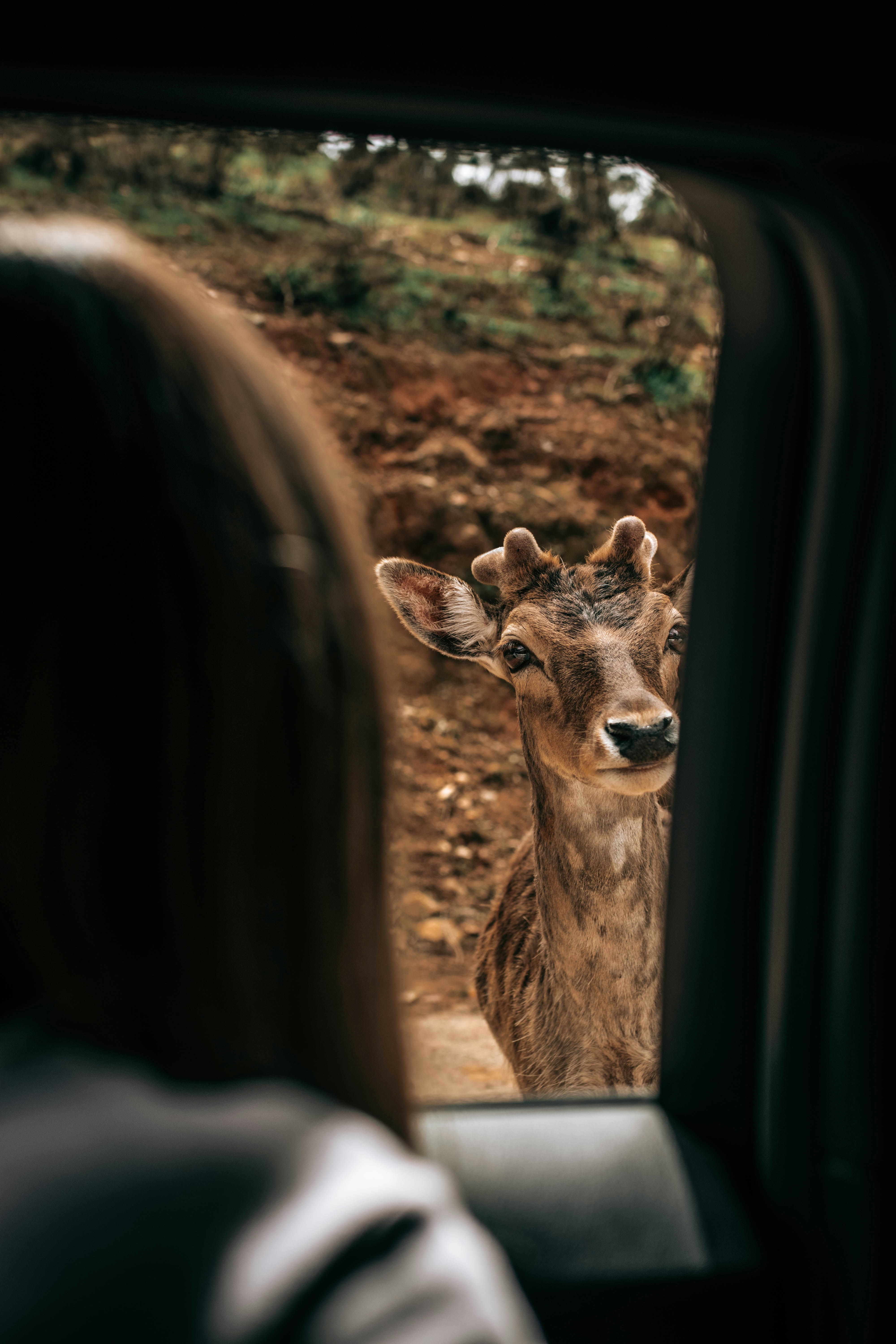 Photo by mari marquez with Canon EOS 250D