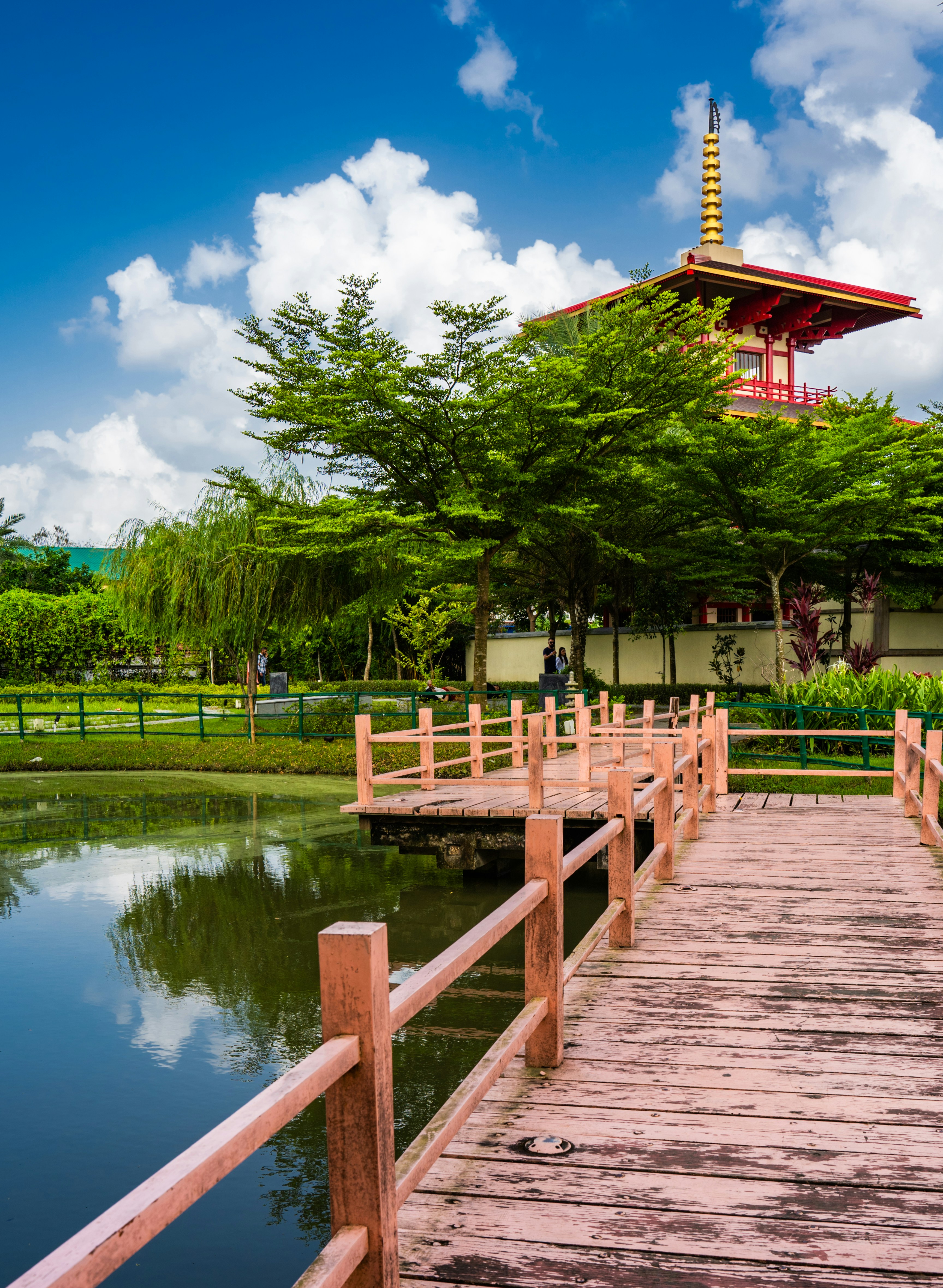 Japanese Forest, Eco park, Kolkata