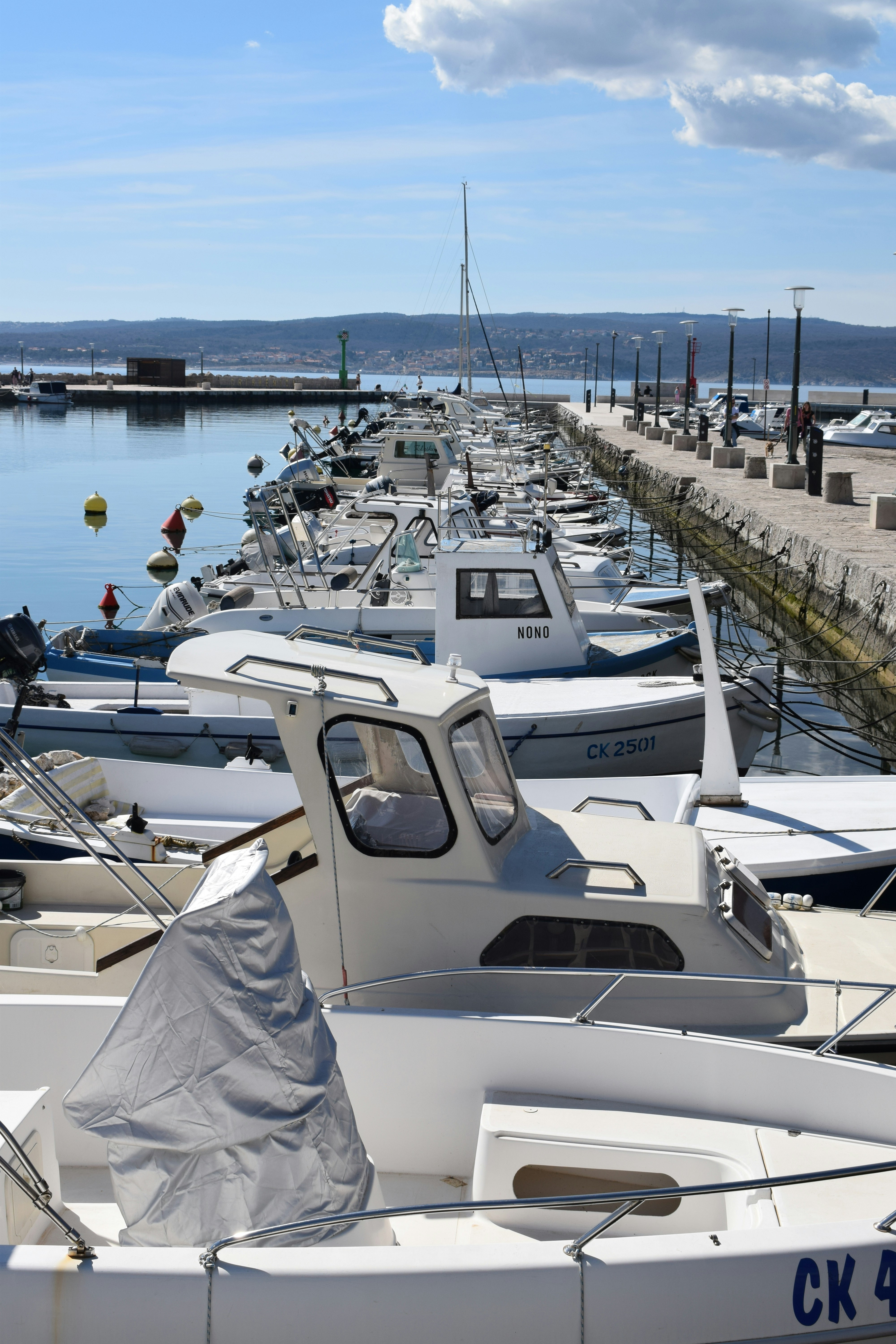 Mirror of Masts: A Calm Marina Packed with Boats Reaching Toward the Horizon