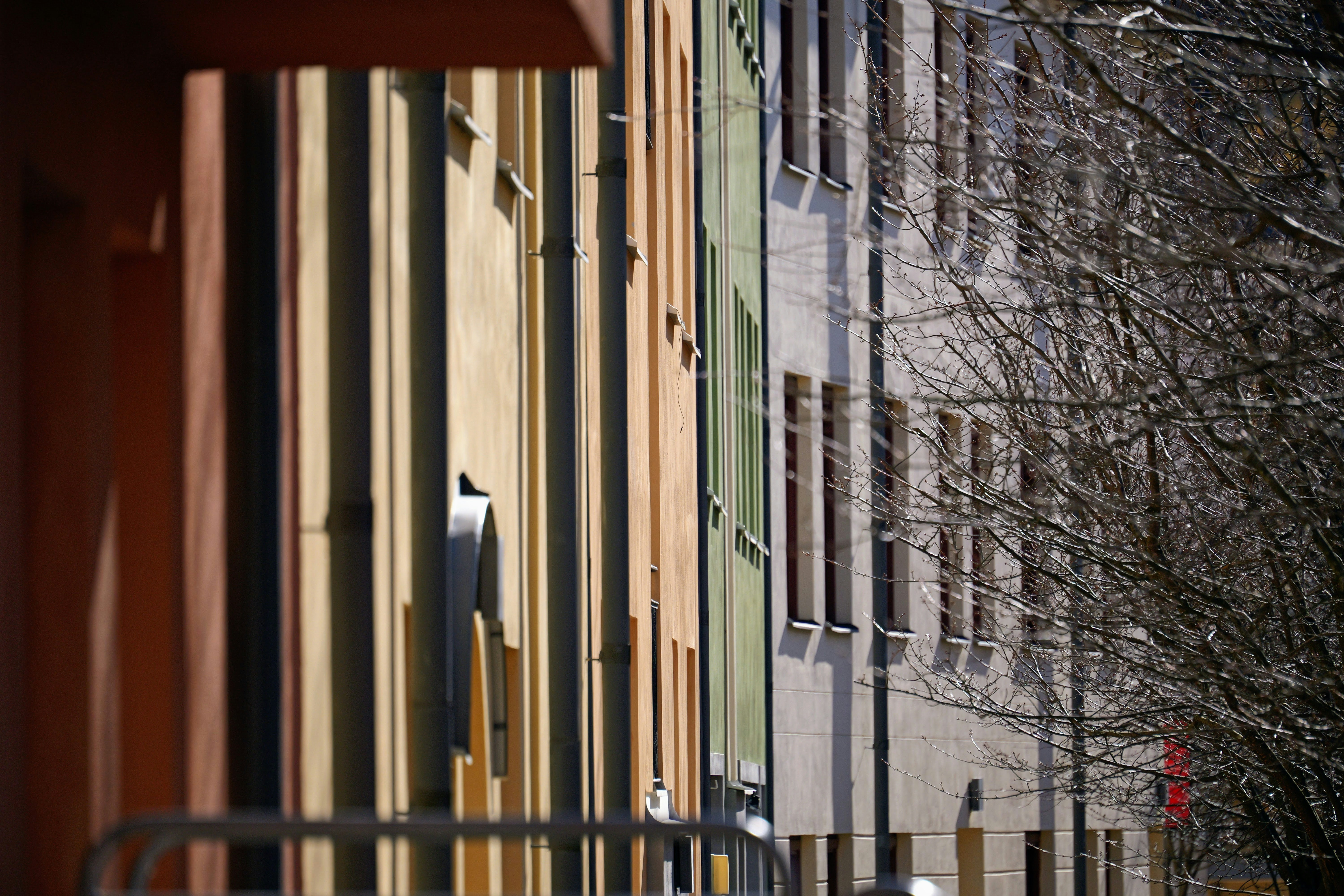 Colorful building facades aligned in a row, casting intricate shadows, with bare tree branches intertwining in the foreground.