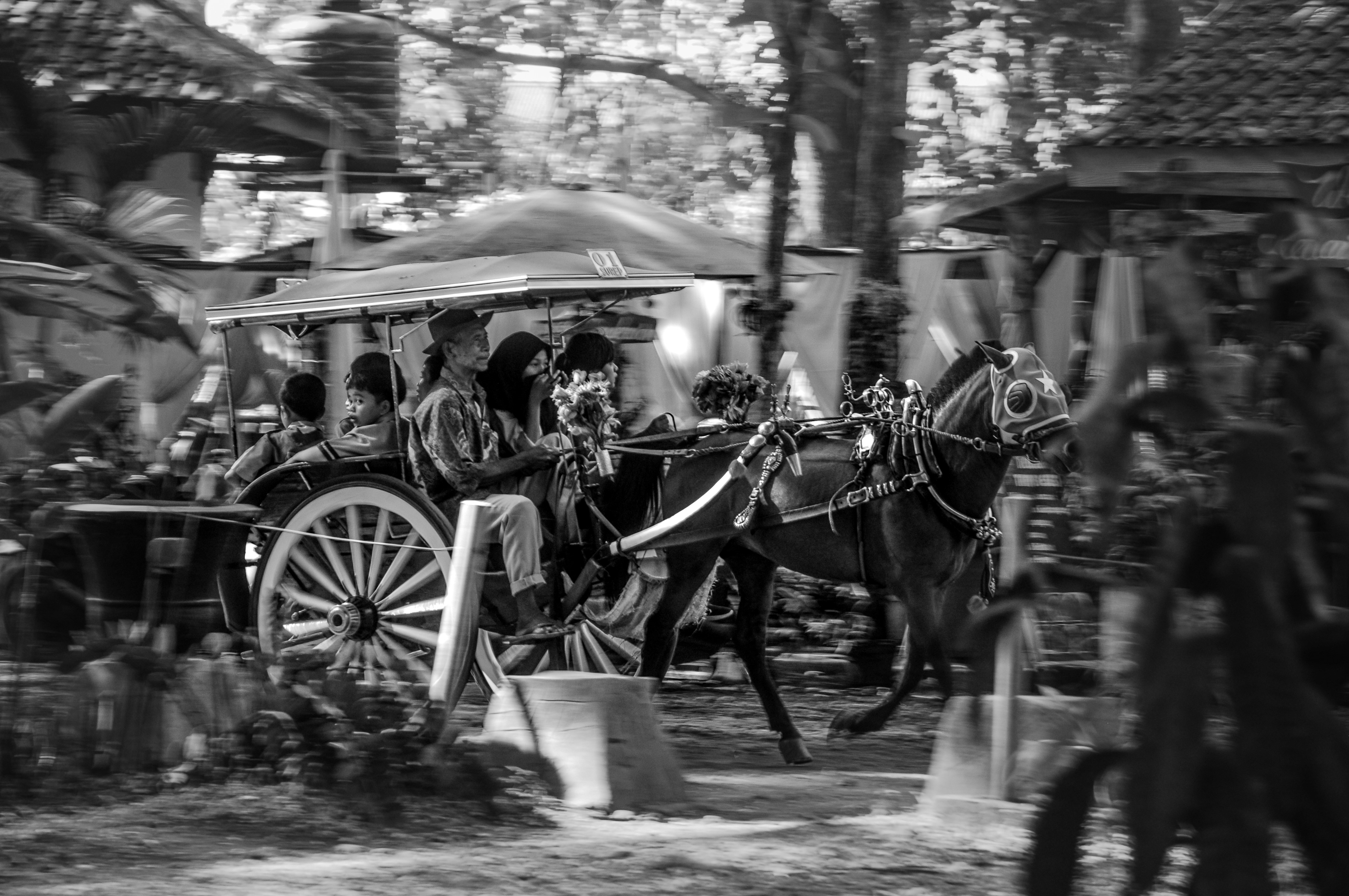 Echoes of Tradition: Horse-Drawn Elegance