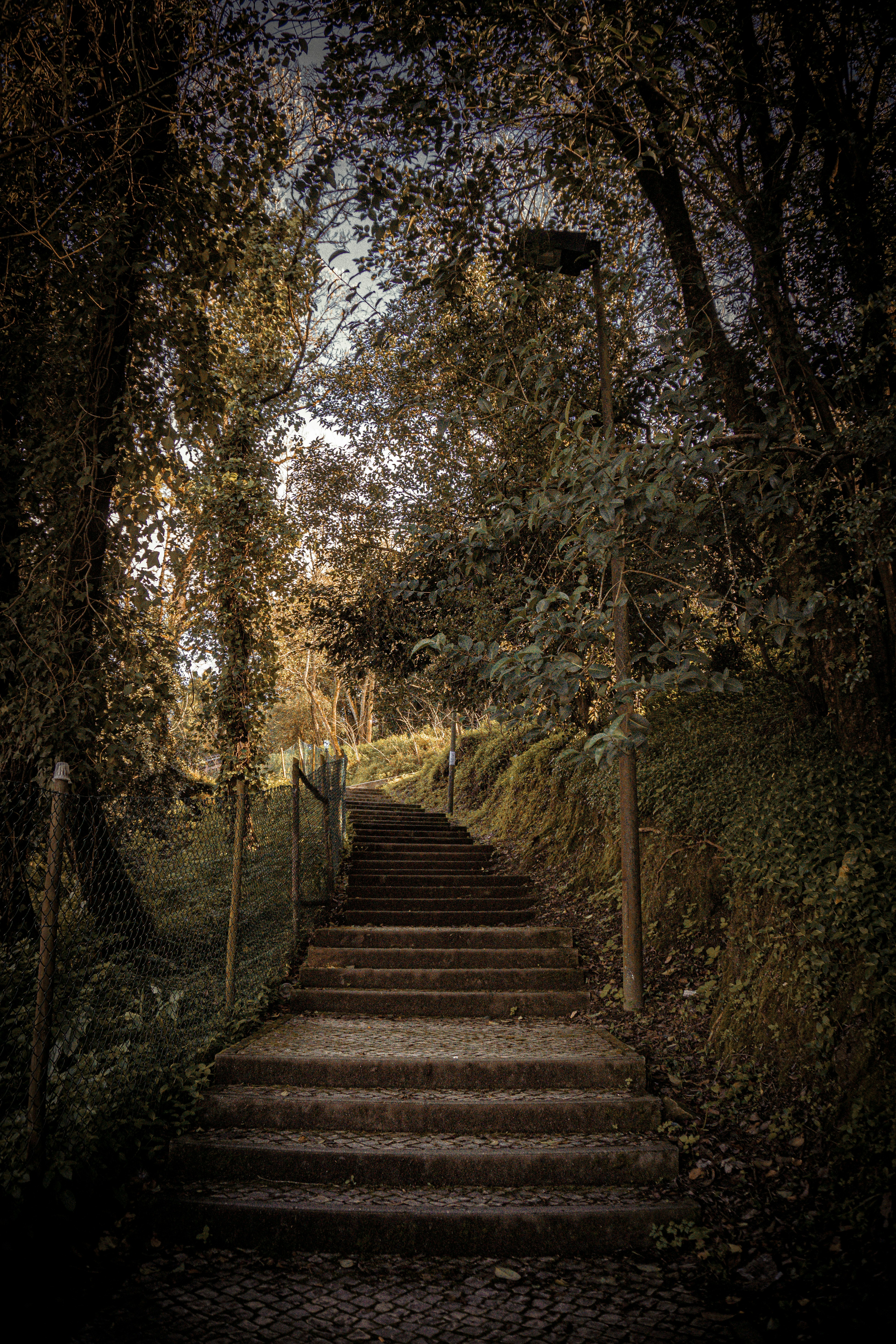 Twilight Stairway: A Quiet Descent Through Sunset Foliage