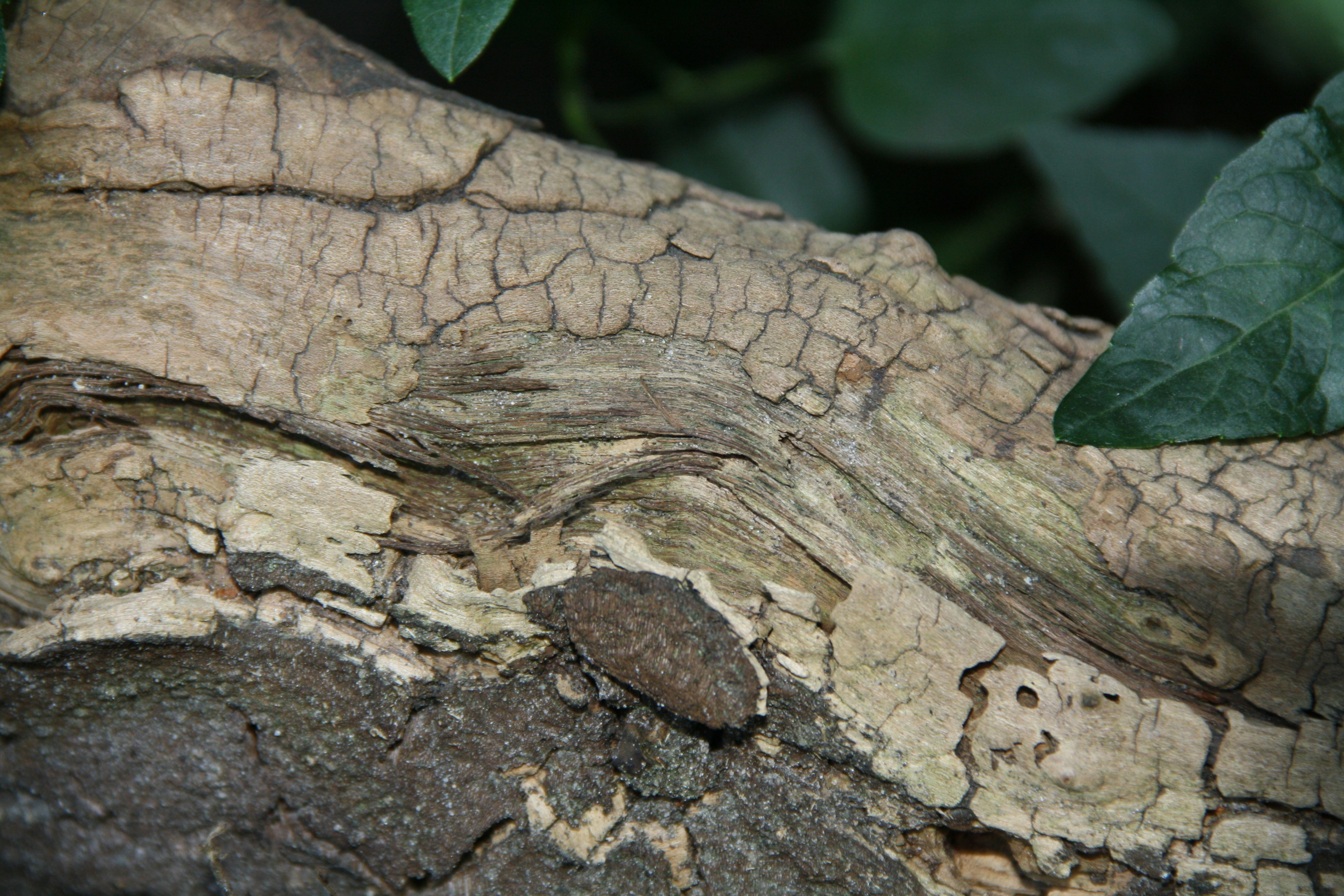 Photo by Mozi with Canon EOS 1000D