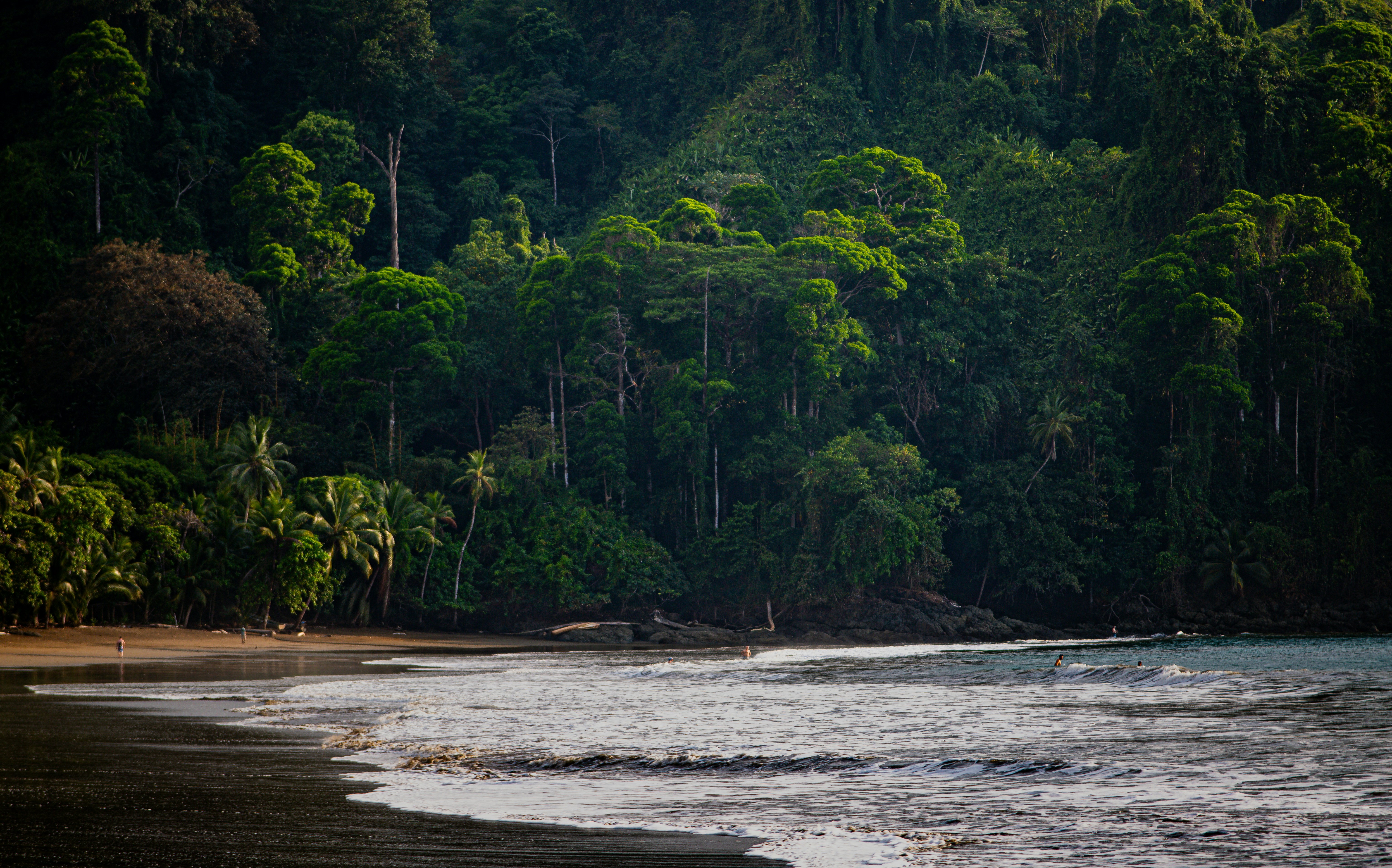 This photograph captures a quiet moment on a secluded Costa Rican beach, where the rich, dark sands meet the gentle surf, and a dense, verdant rainforest looms in the background. The image is a celebration of natural contrasts and would serve as a tranquil wallpaper, inviting observers to a world of calm and natural splendor.