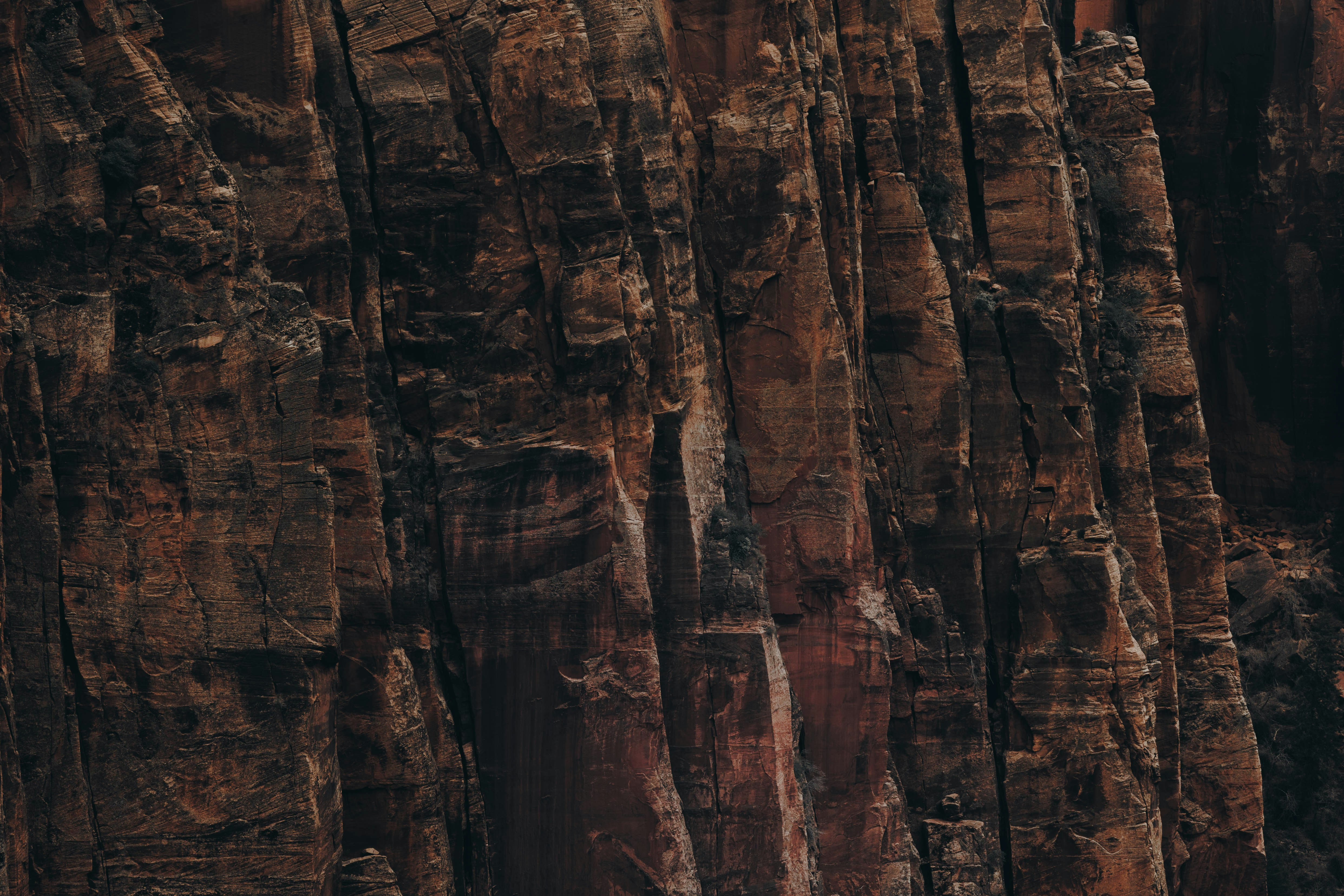 Photo by Jefferson Sees with Canon EOS R6