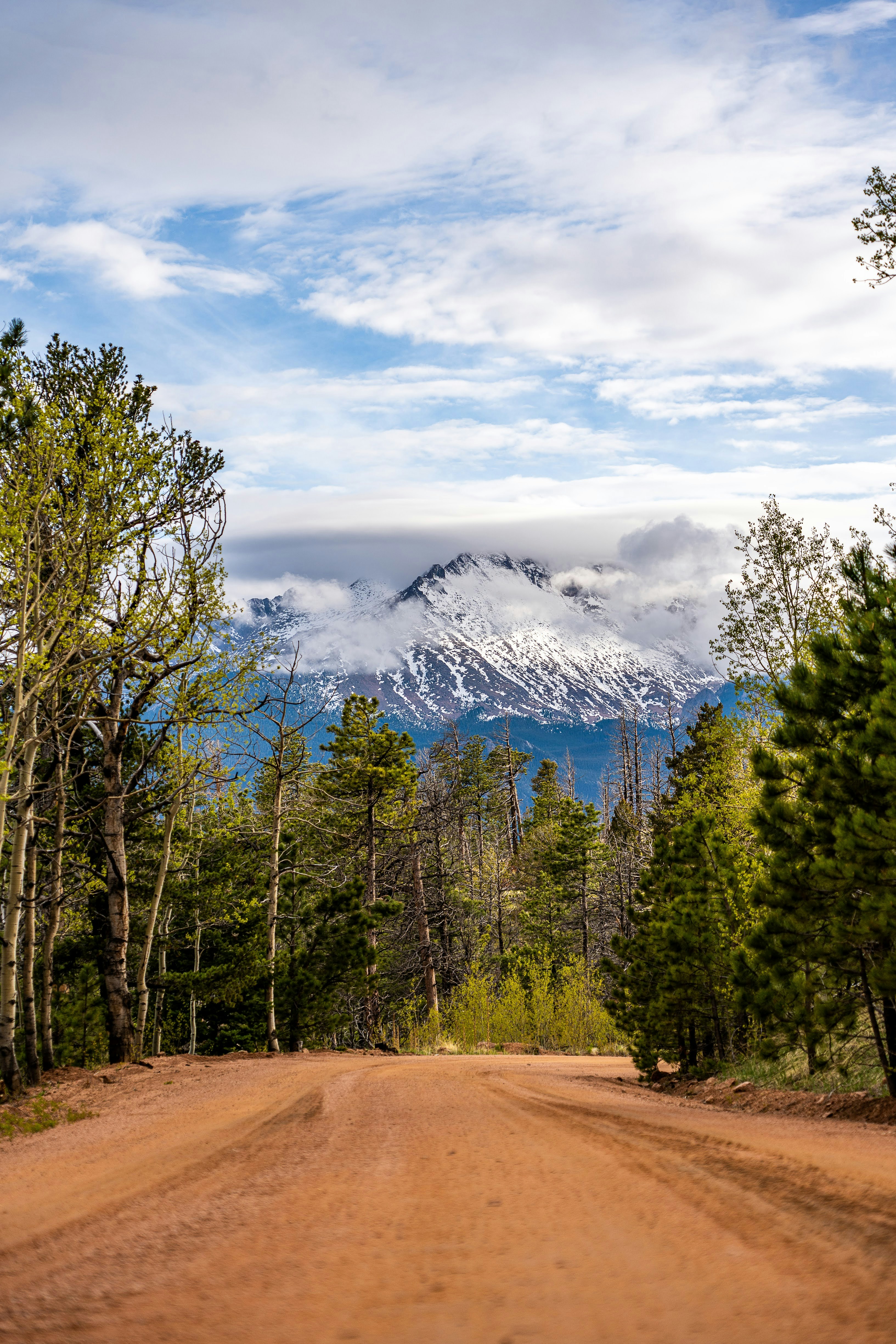 Dust Road Toward Snowbound Peaks: A Pine-Fed Ascent to the Sky